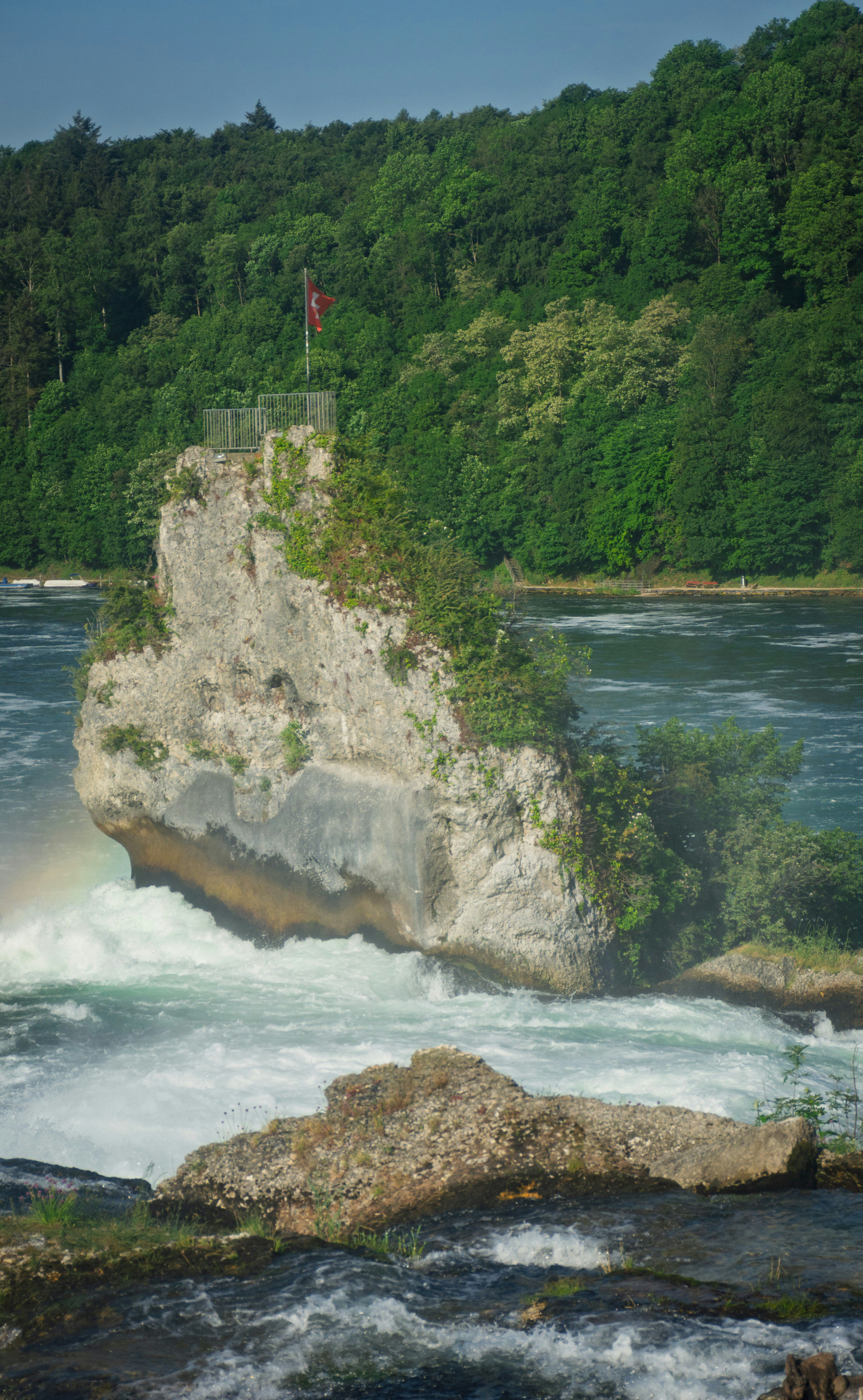 A rugged rock formation stands defiantly in the swirling waters of a river, adorned with greenery and a flag atop. The scene captures the dynamic interplay between nature and human presence.