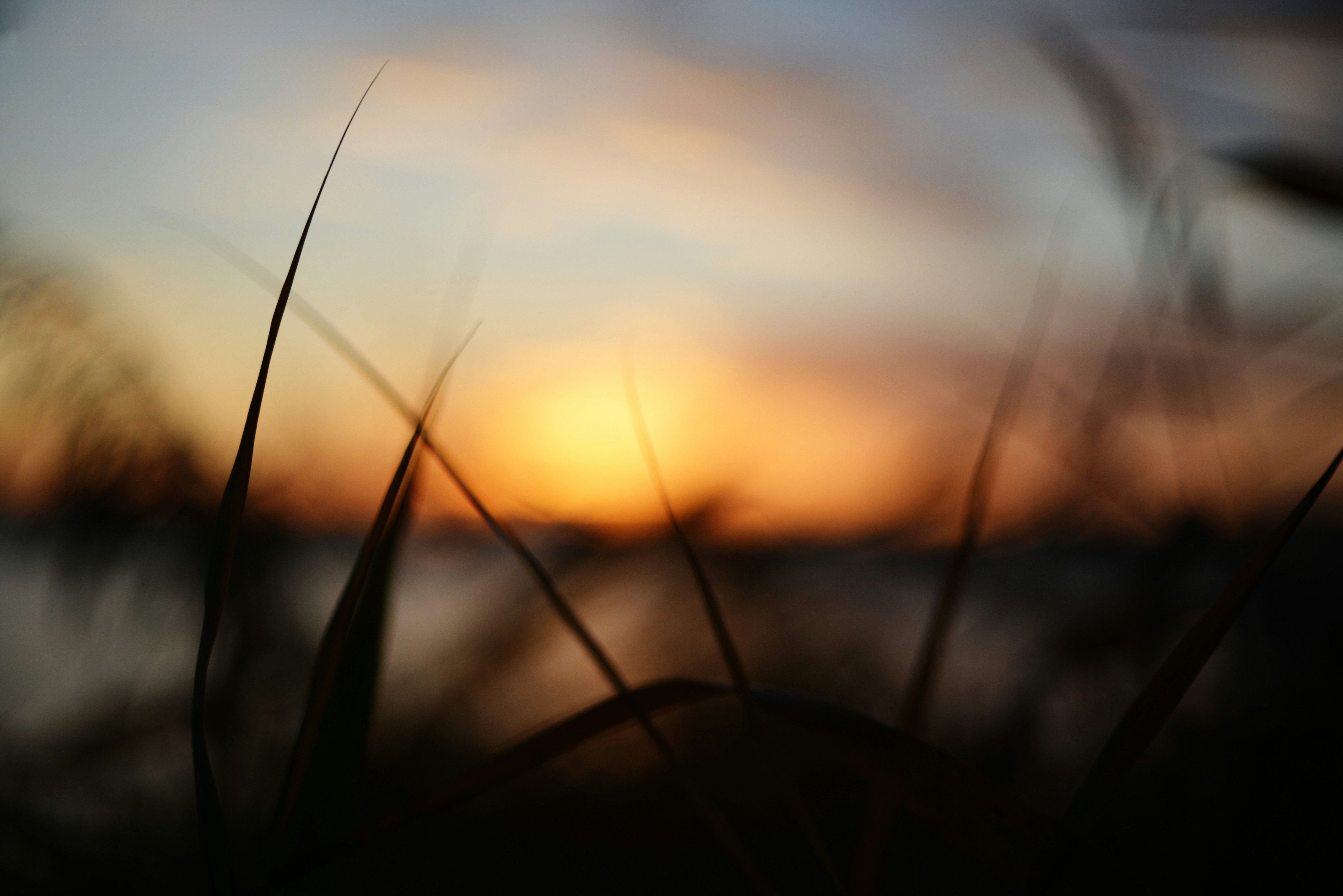 Softly blurred grass blades framing a vibrant sunset over a tranquil water body.
