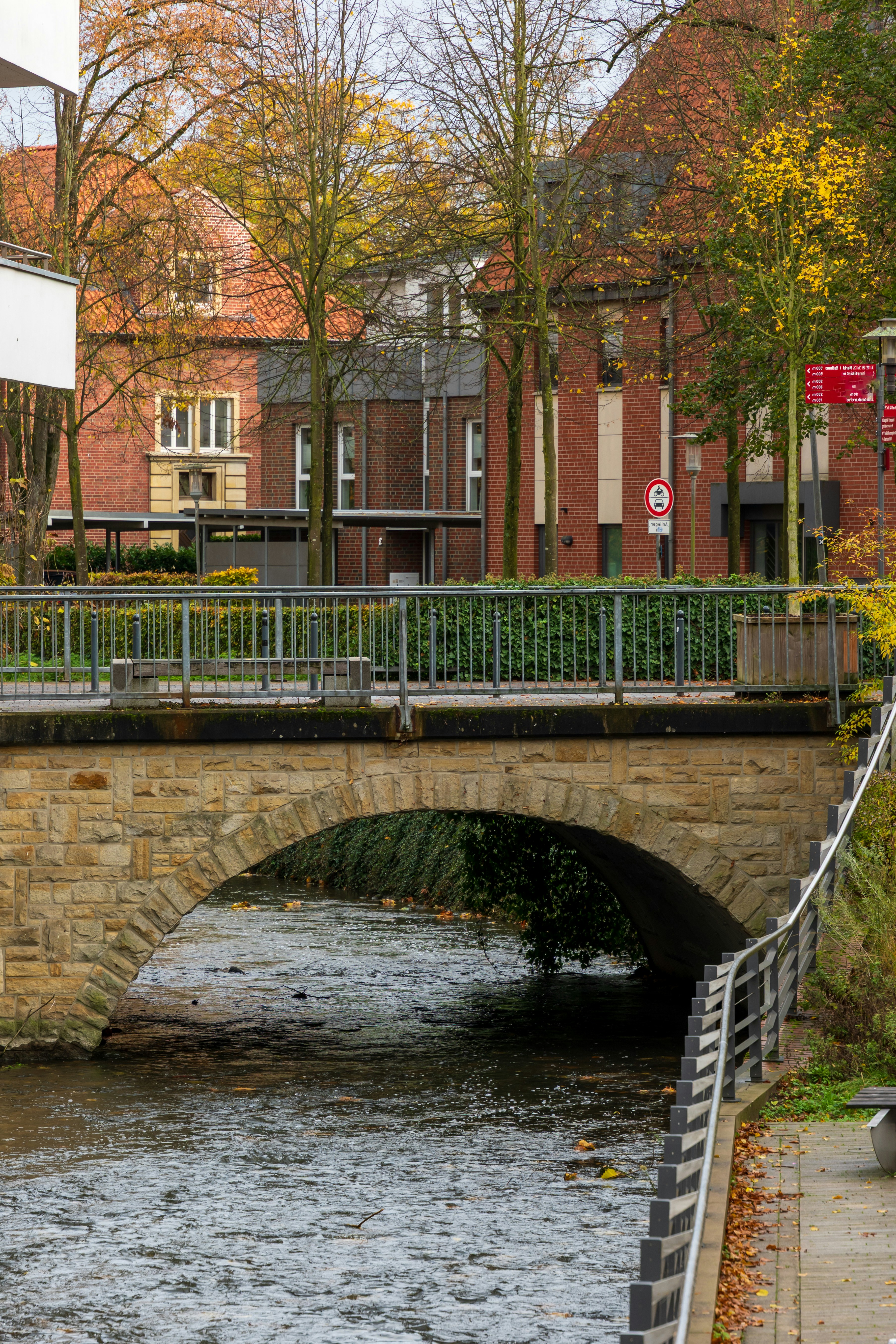 Urban Serenity: The Bridge Over Still Waters