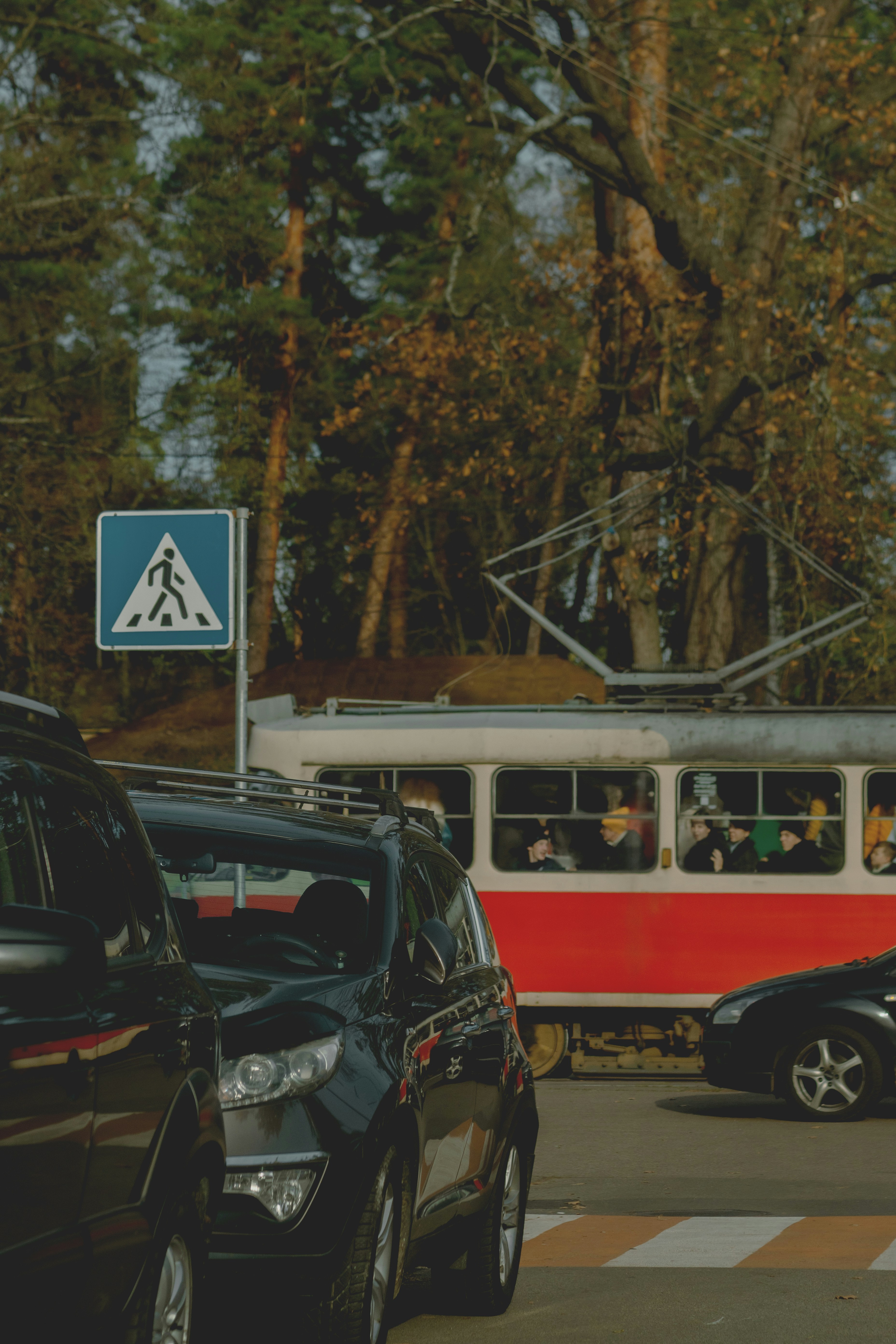 Urban Transit Through Nature's Embrace