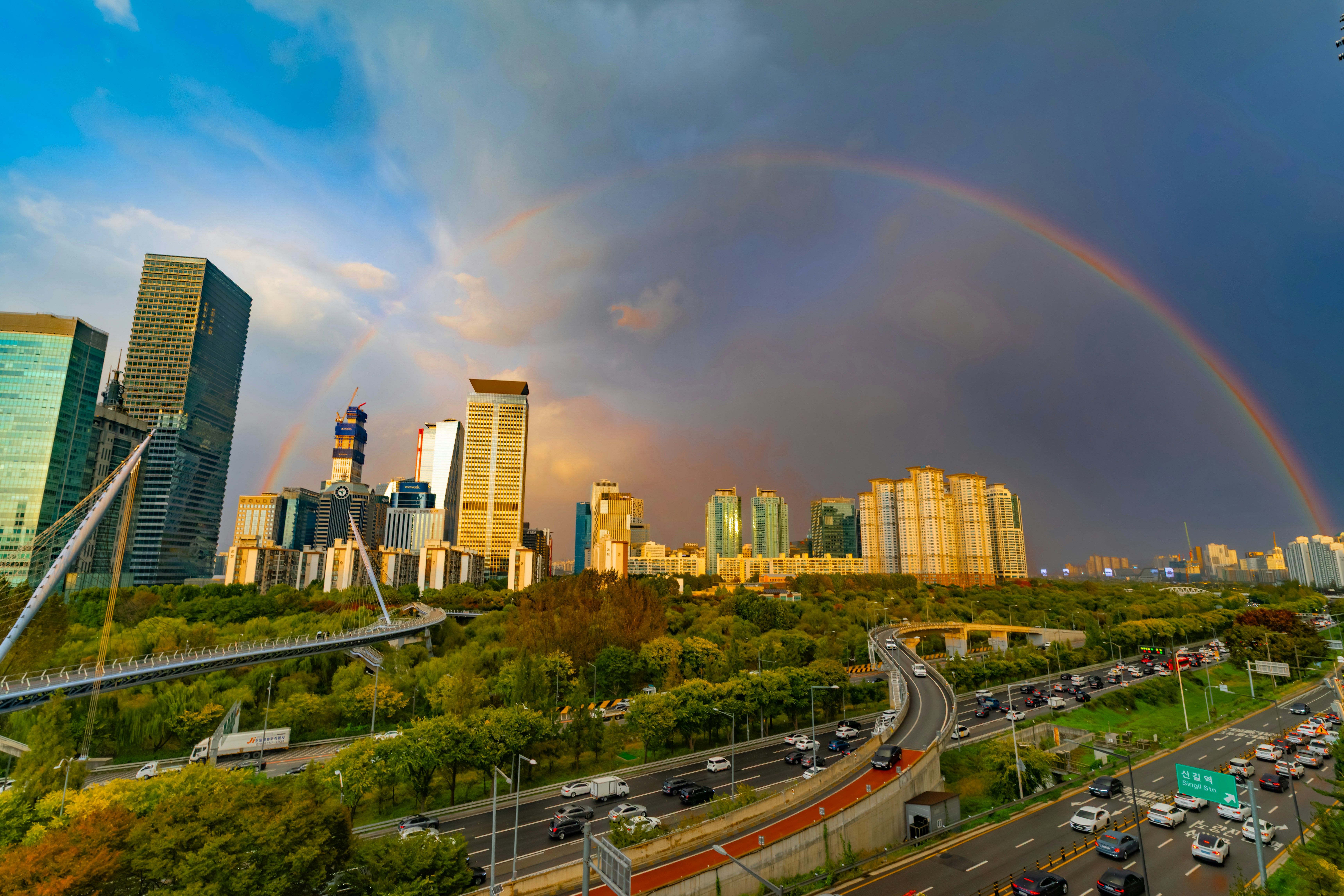 Urban Symphony: Nature Meets Architecture