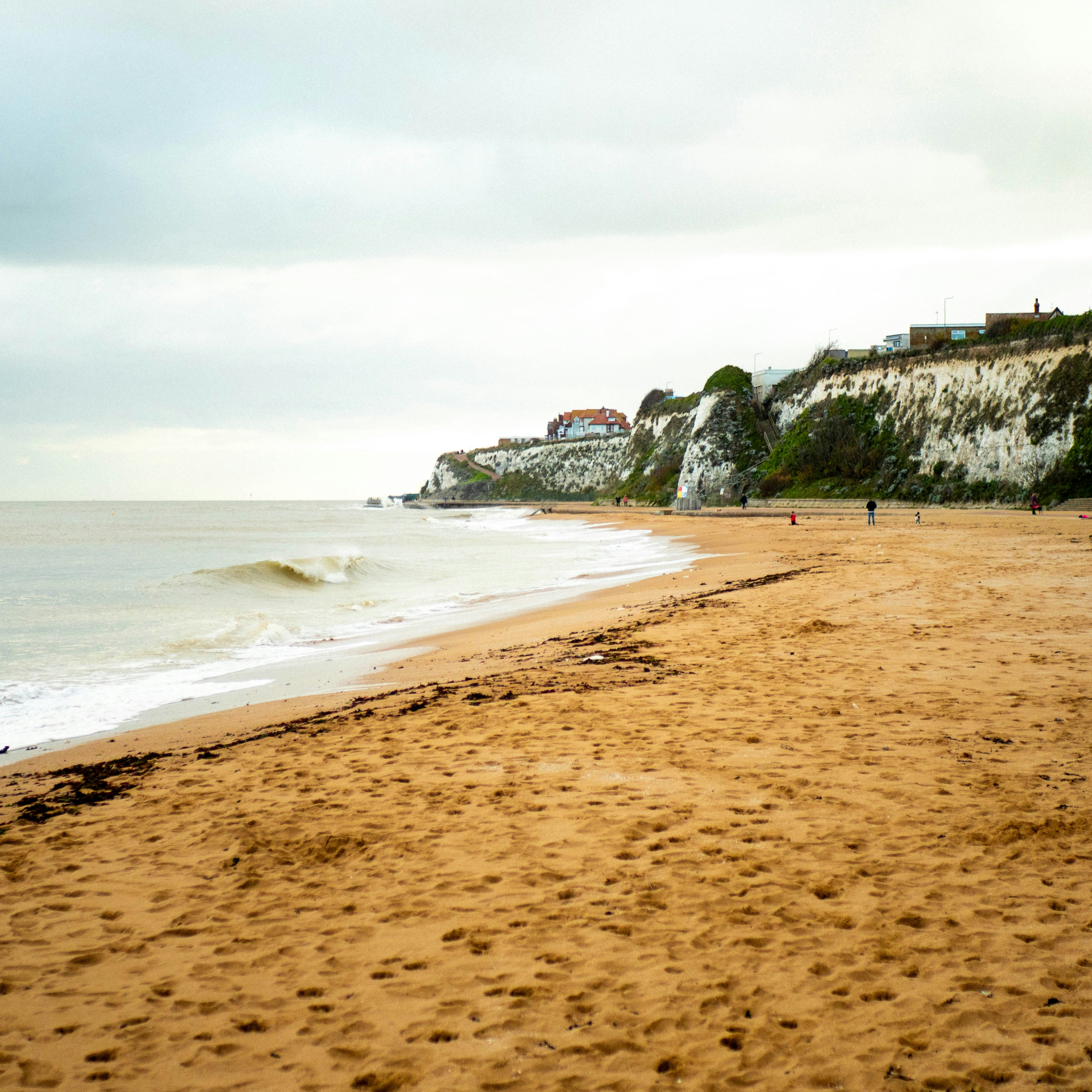 Whispers of the Shoreline