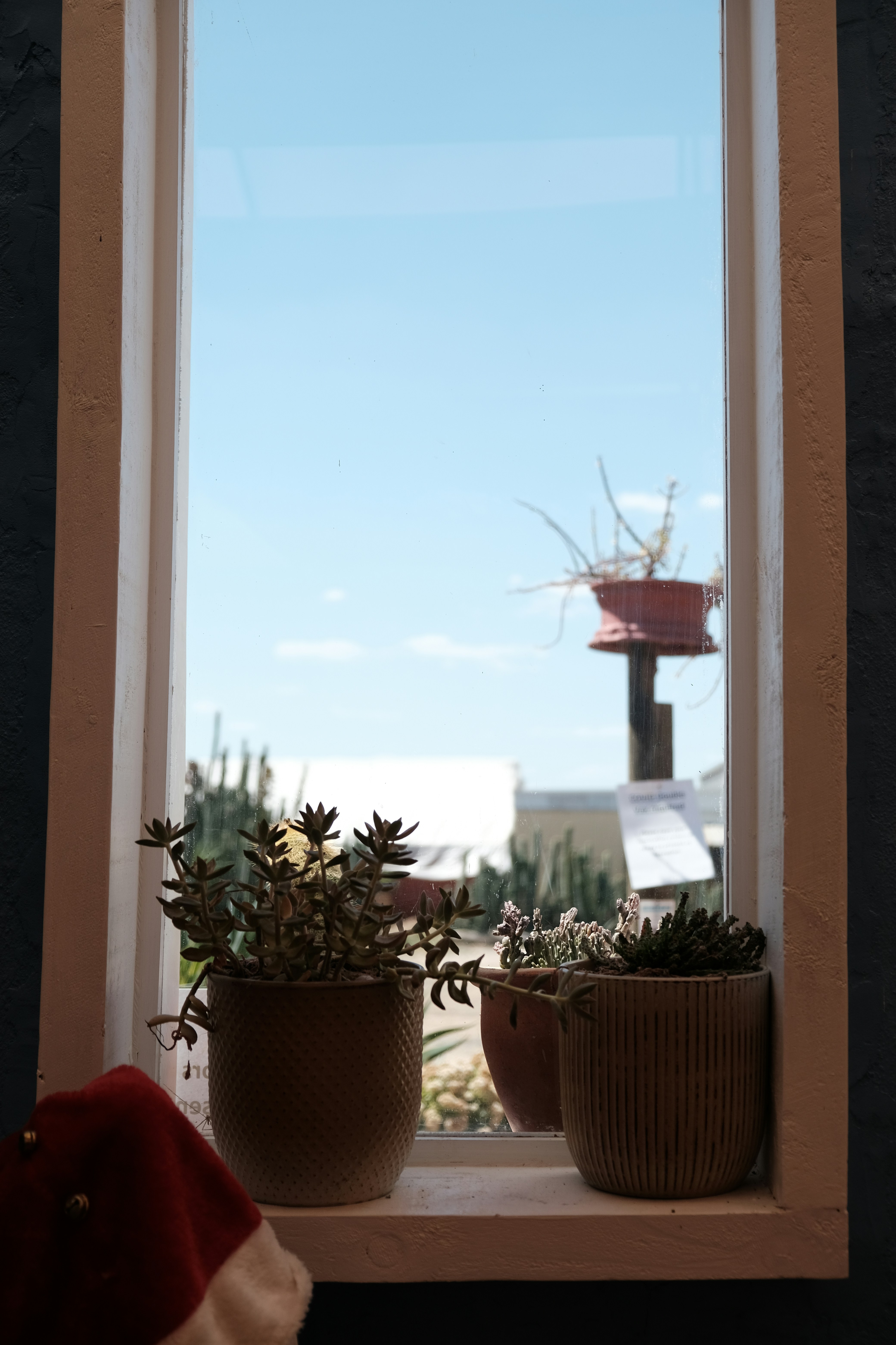 Photo by Mavis M. with Fujifilm X-T4