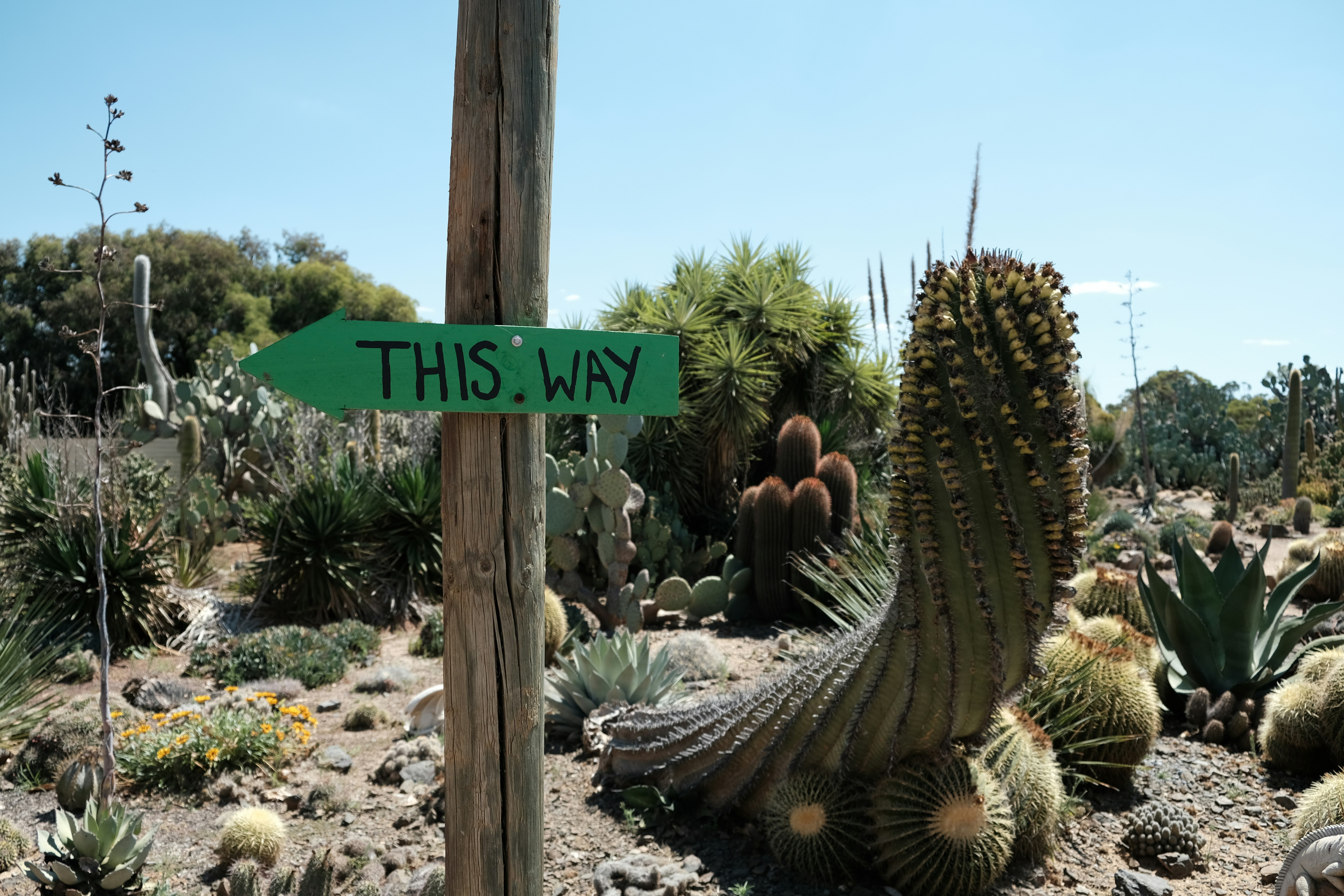 Photo by Mavis M. with Fujifilm X-T4