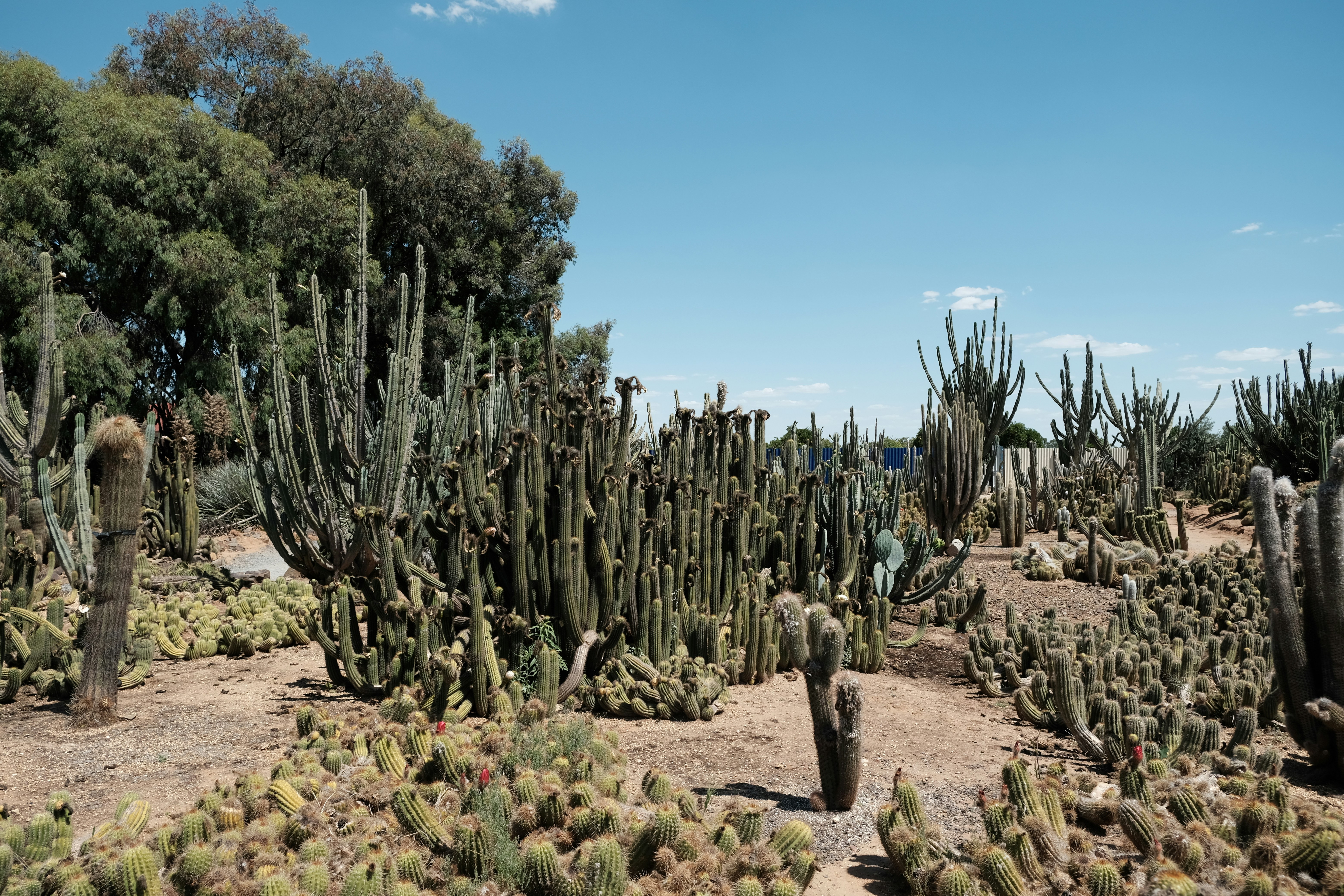 Mavis M. (@imavism) | Comunidade de fotos da Unsplash