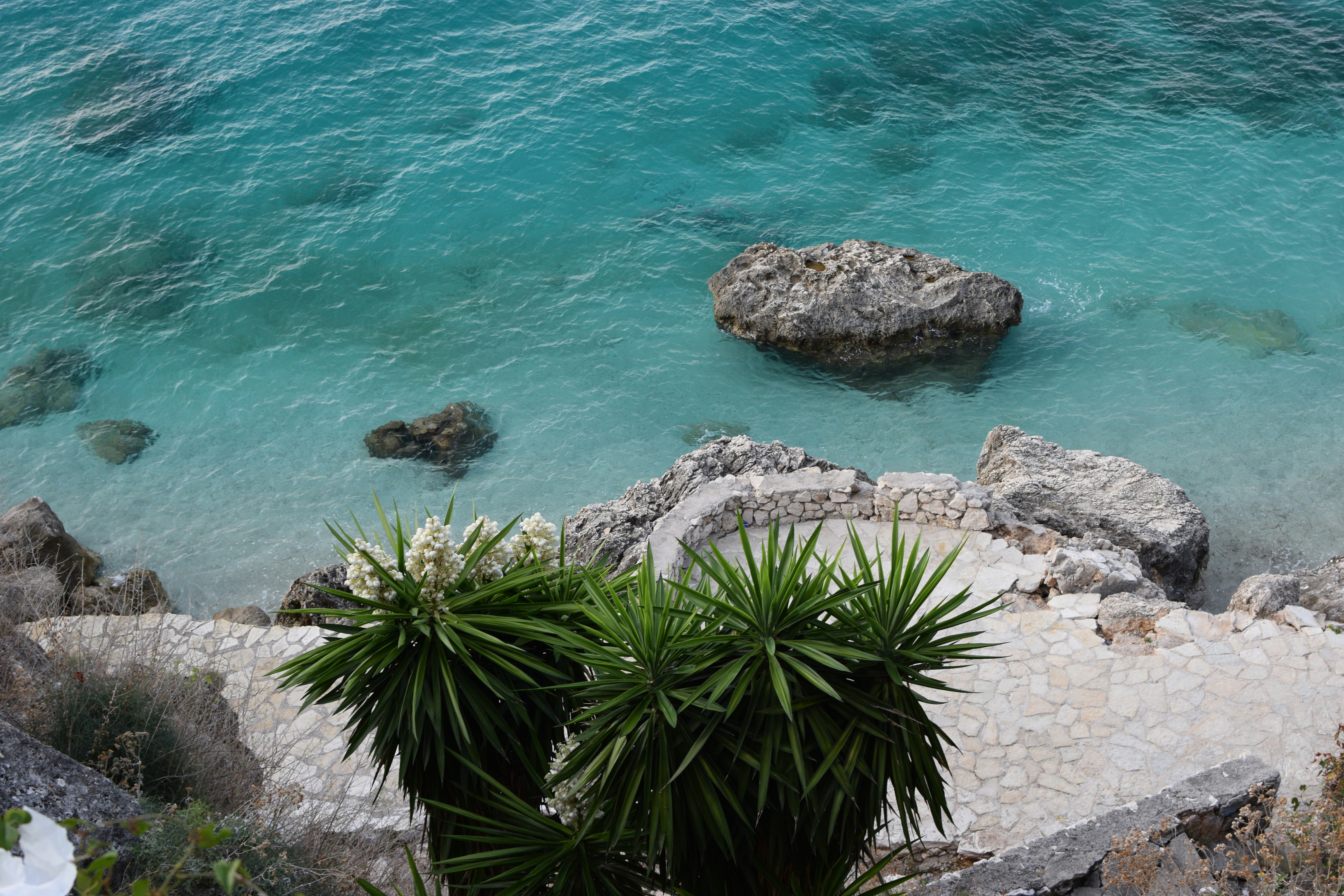Serenity by the Shoreline