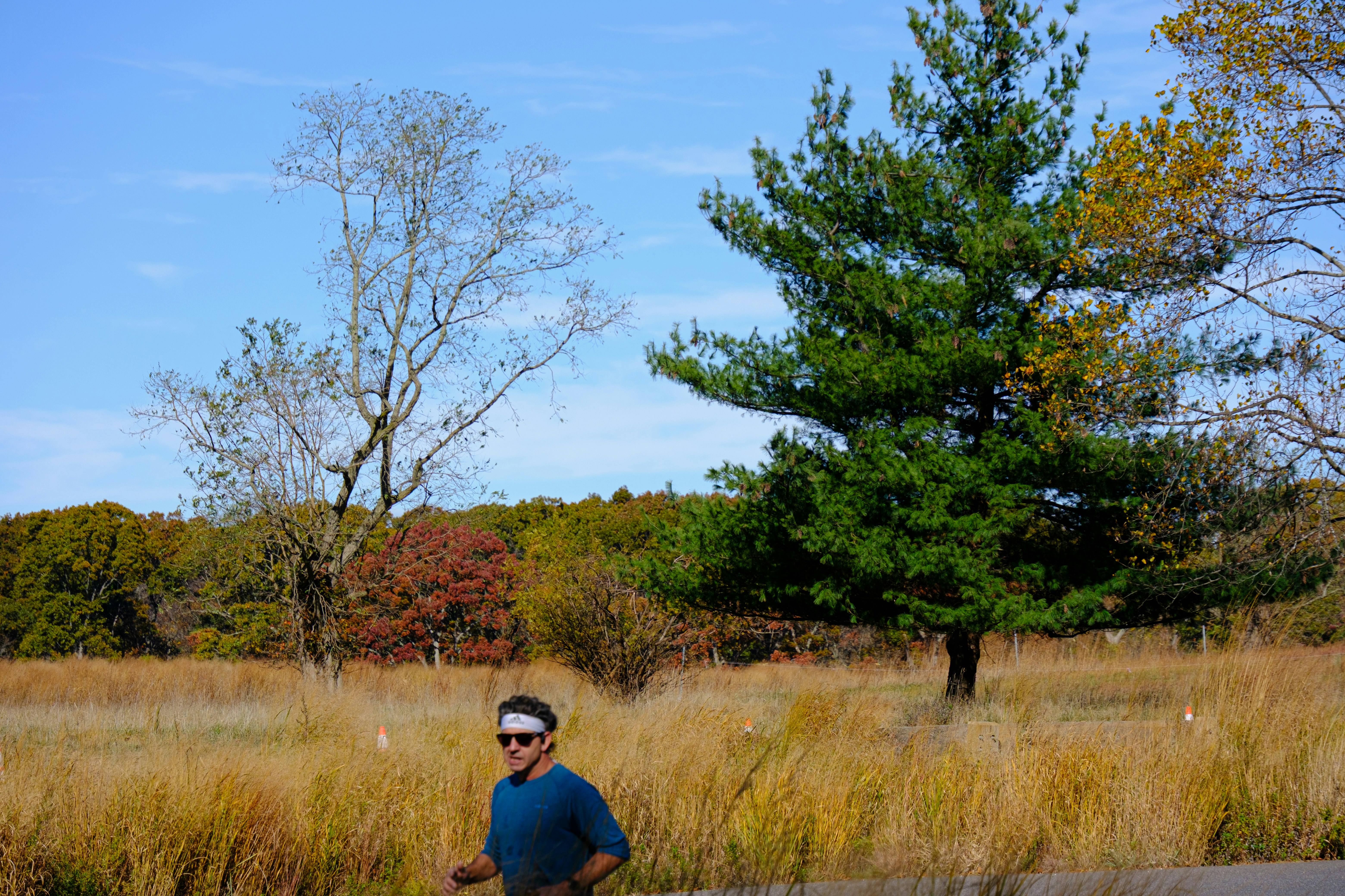runner and pine tree | Man running through a grassy field with trees.