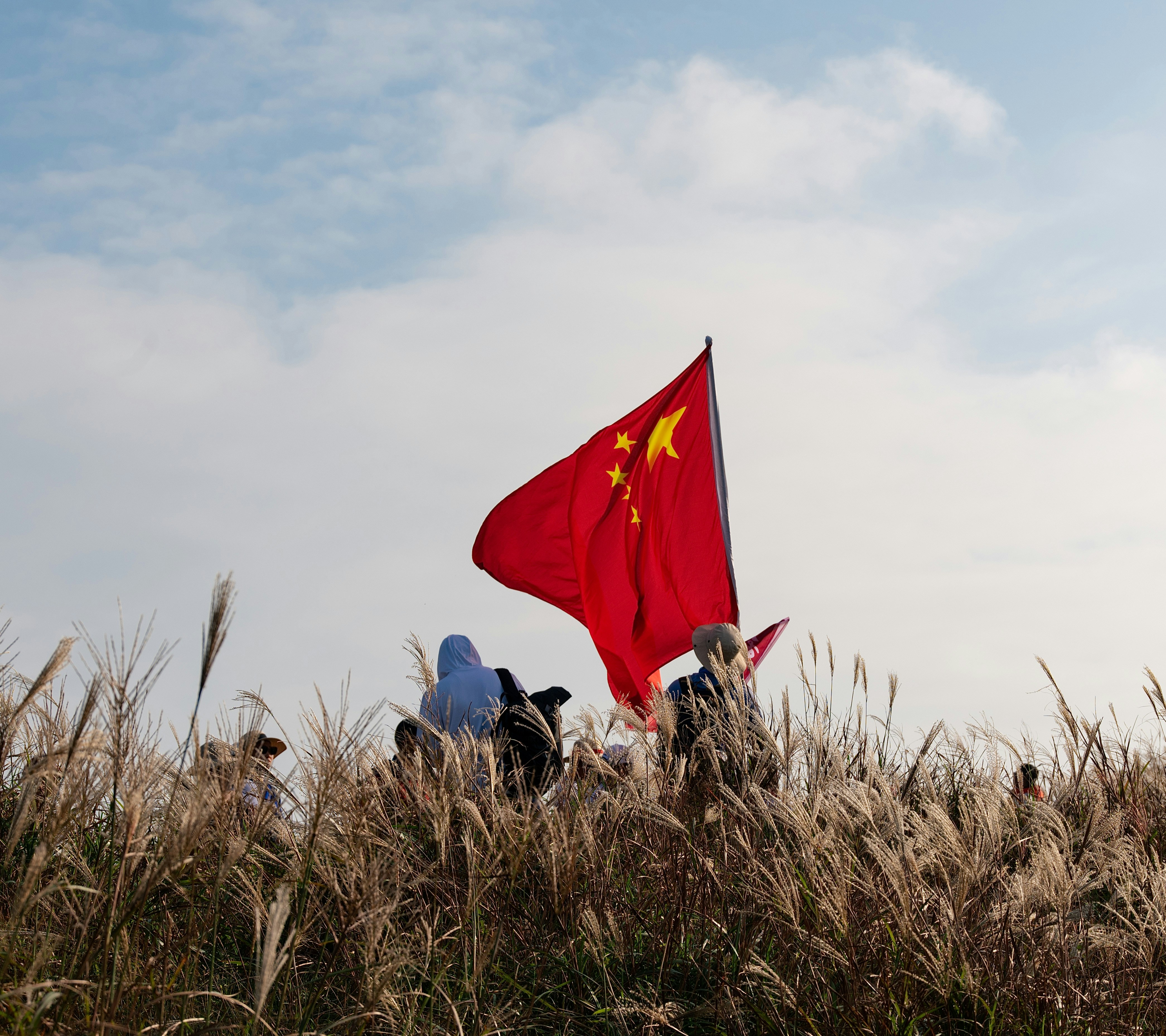 Photo by Q with Nikon Z5 II