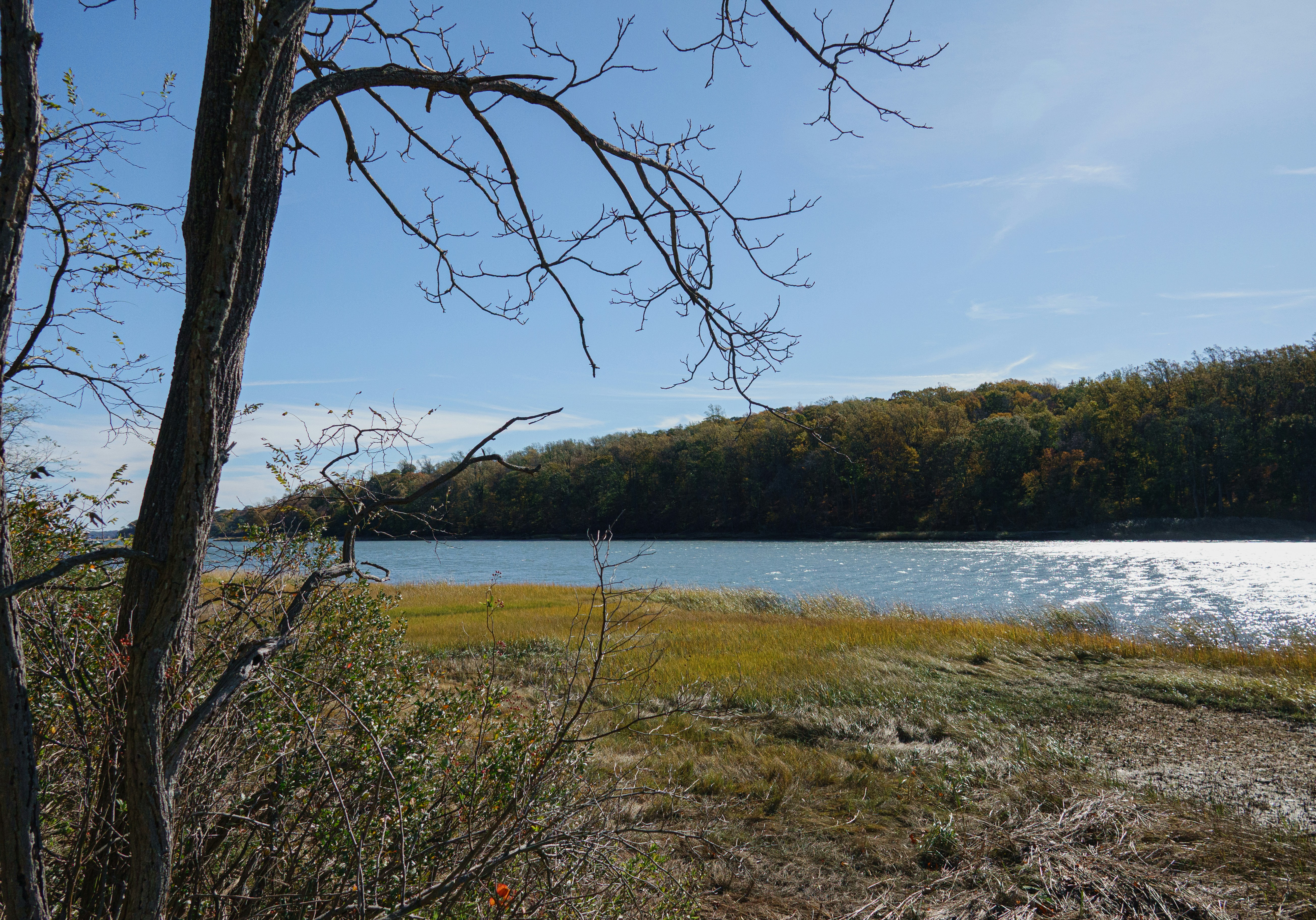 Whispers of Autumn by the Water's Edge