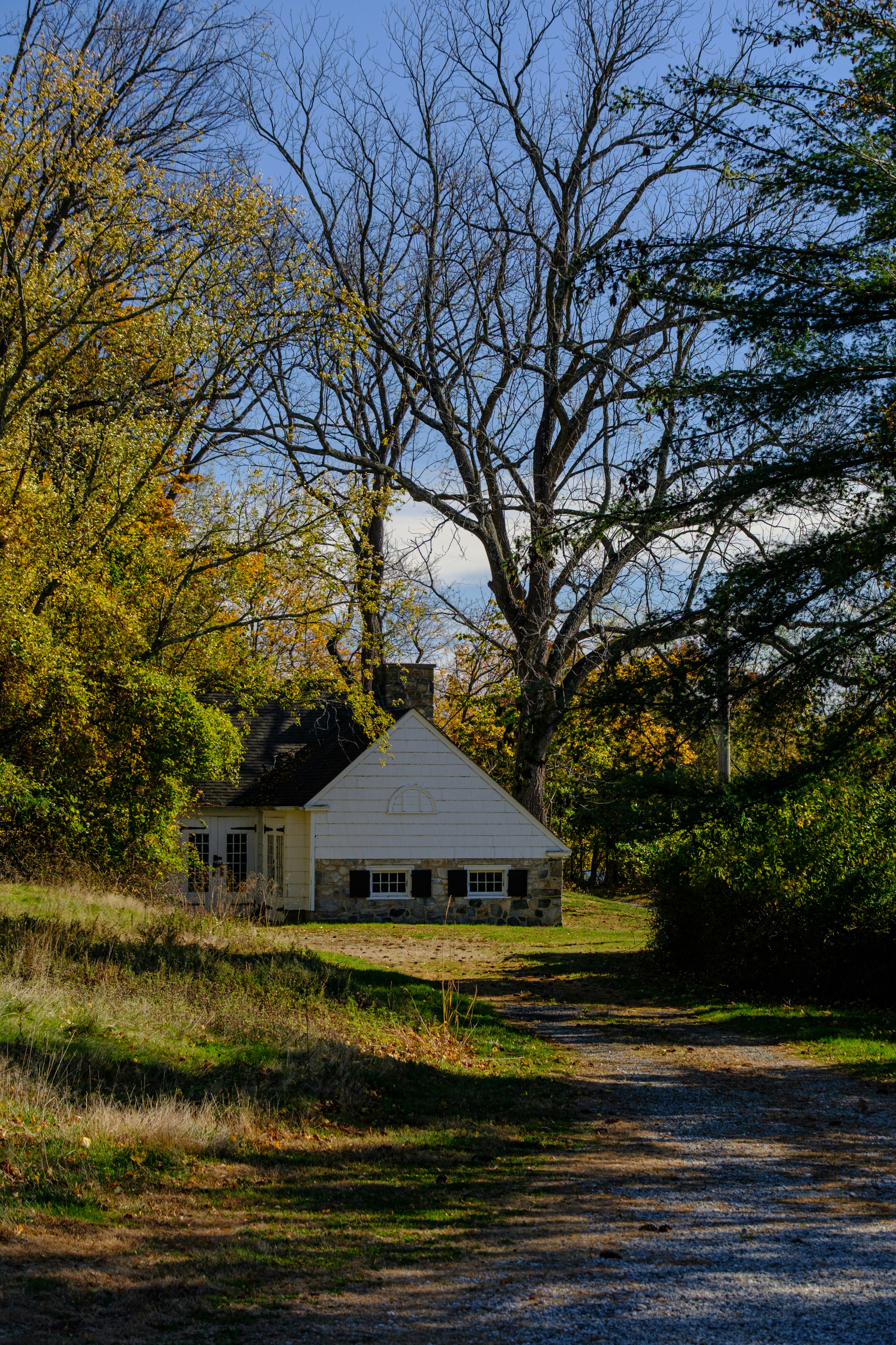 Cottage Path: Sunlit Autumn Corridor to a Quiet Farmhouse