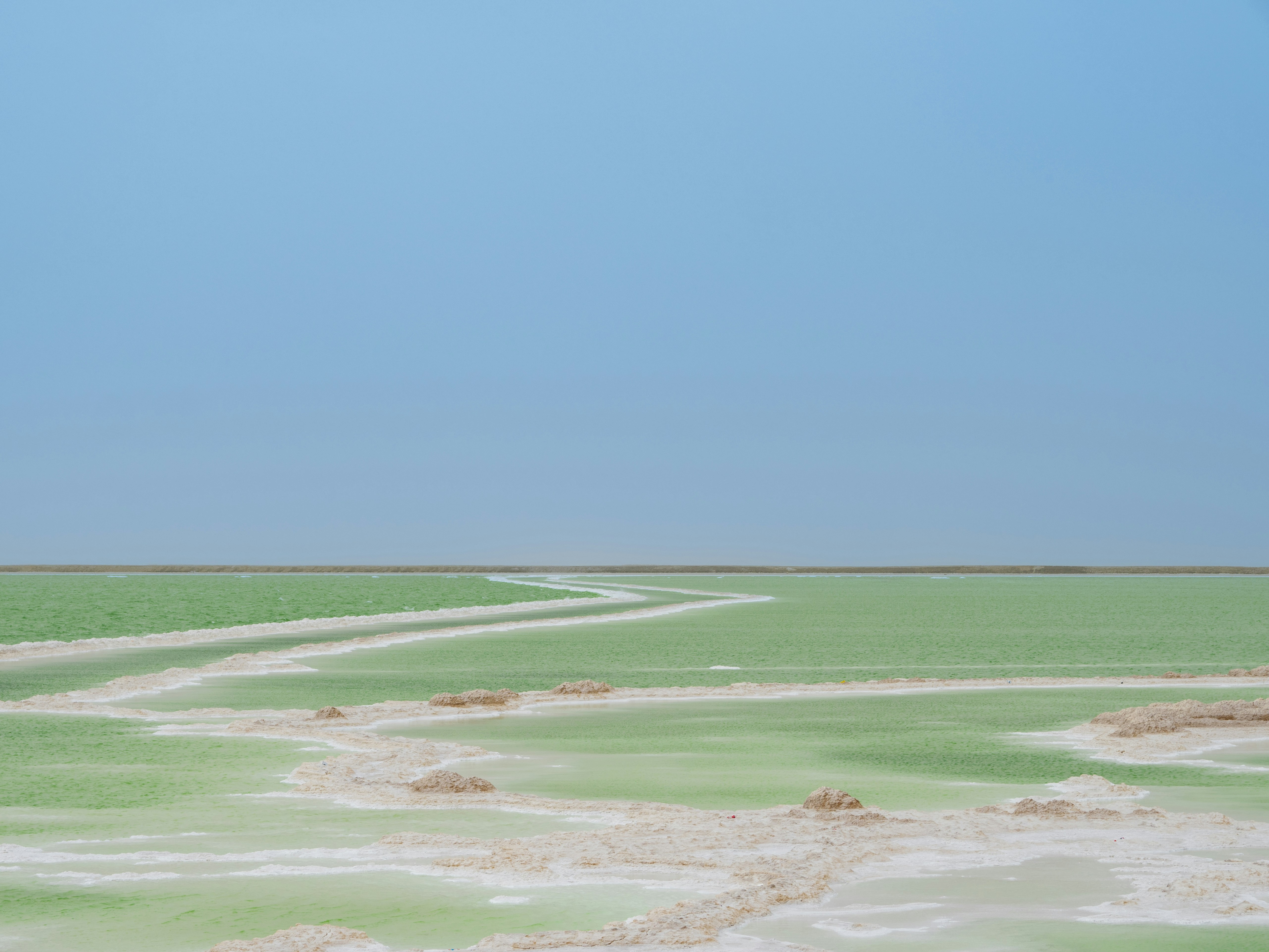 Emerald Pathways Through Nature's Canvas