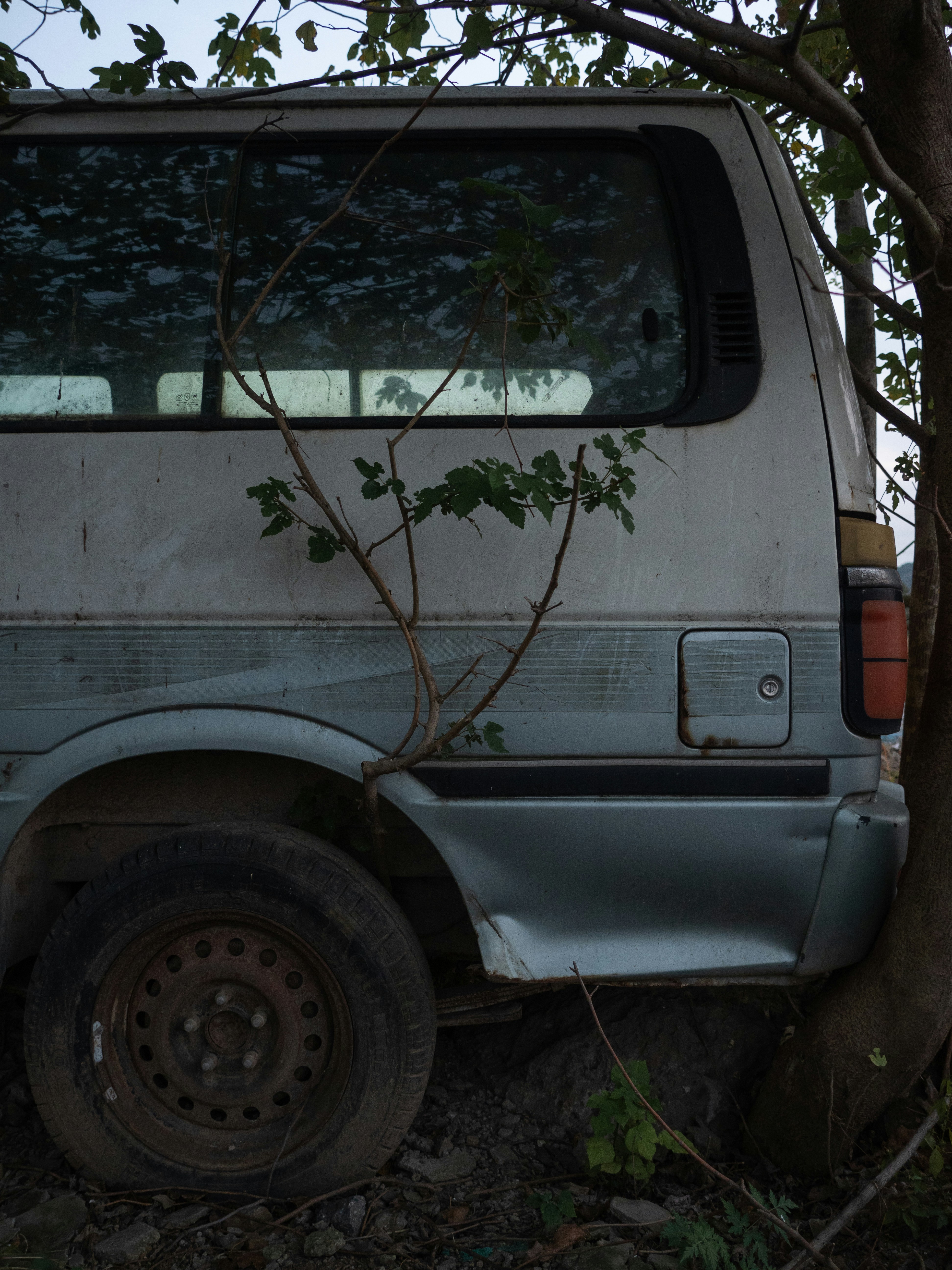 Nature's Embrace: The Forgotten Vehicle