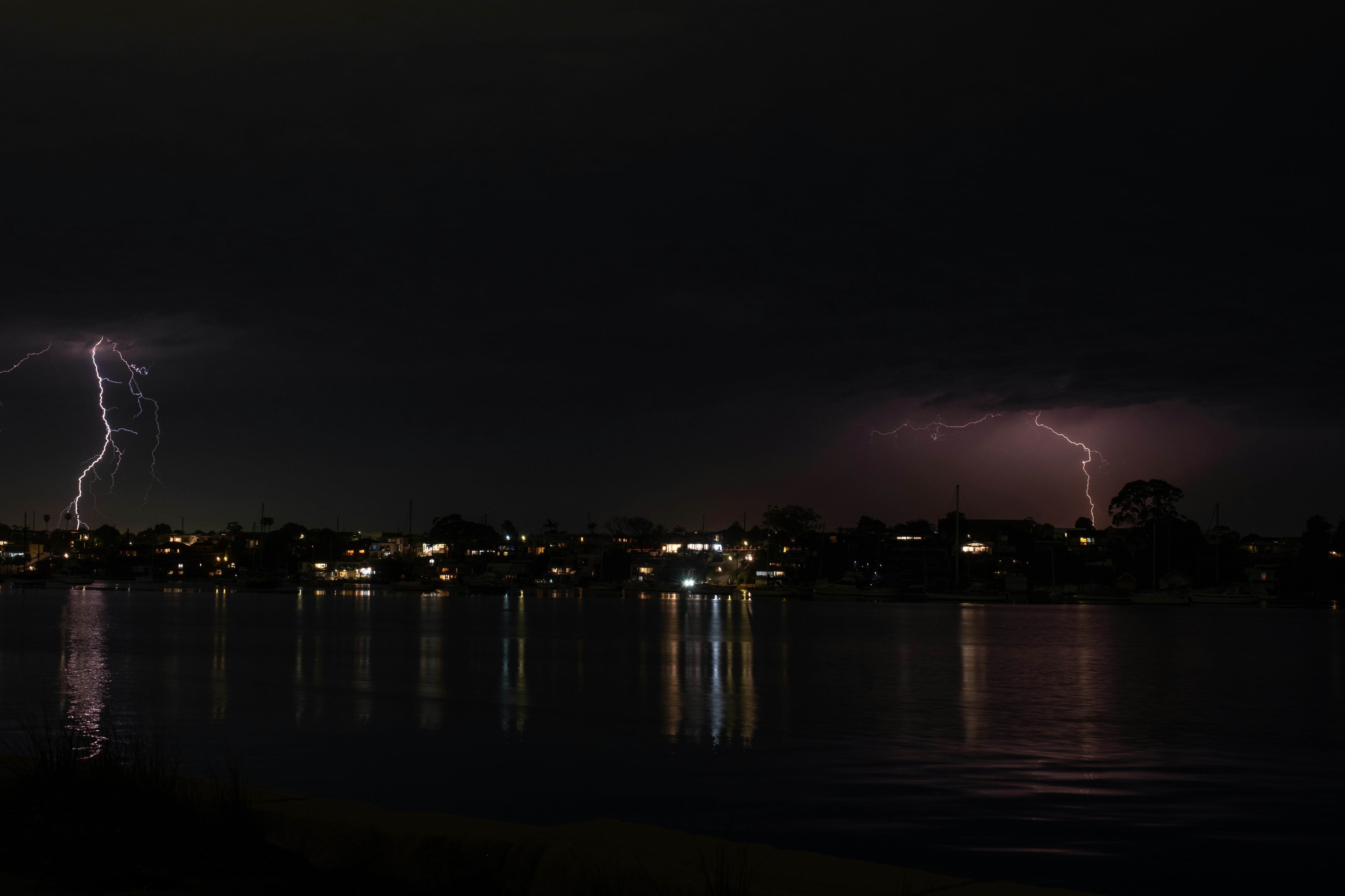 Forked Lightning over a City-Lit Lakefront at Night