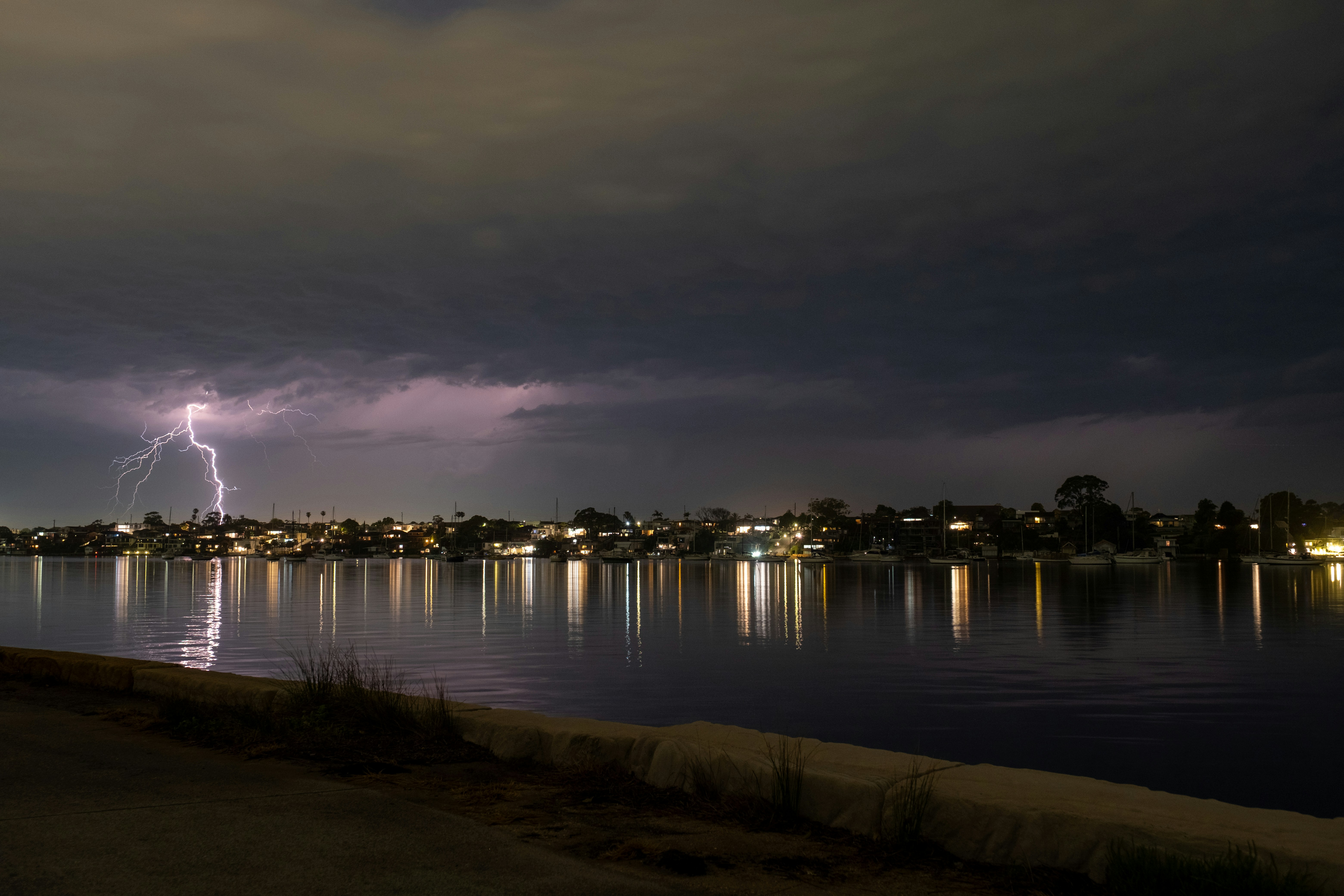 Electric Serenity: A Dance of Nature and Urban Reflections