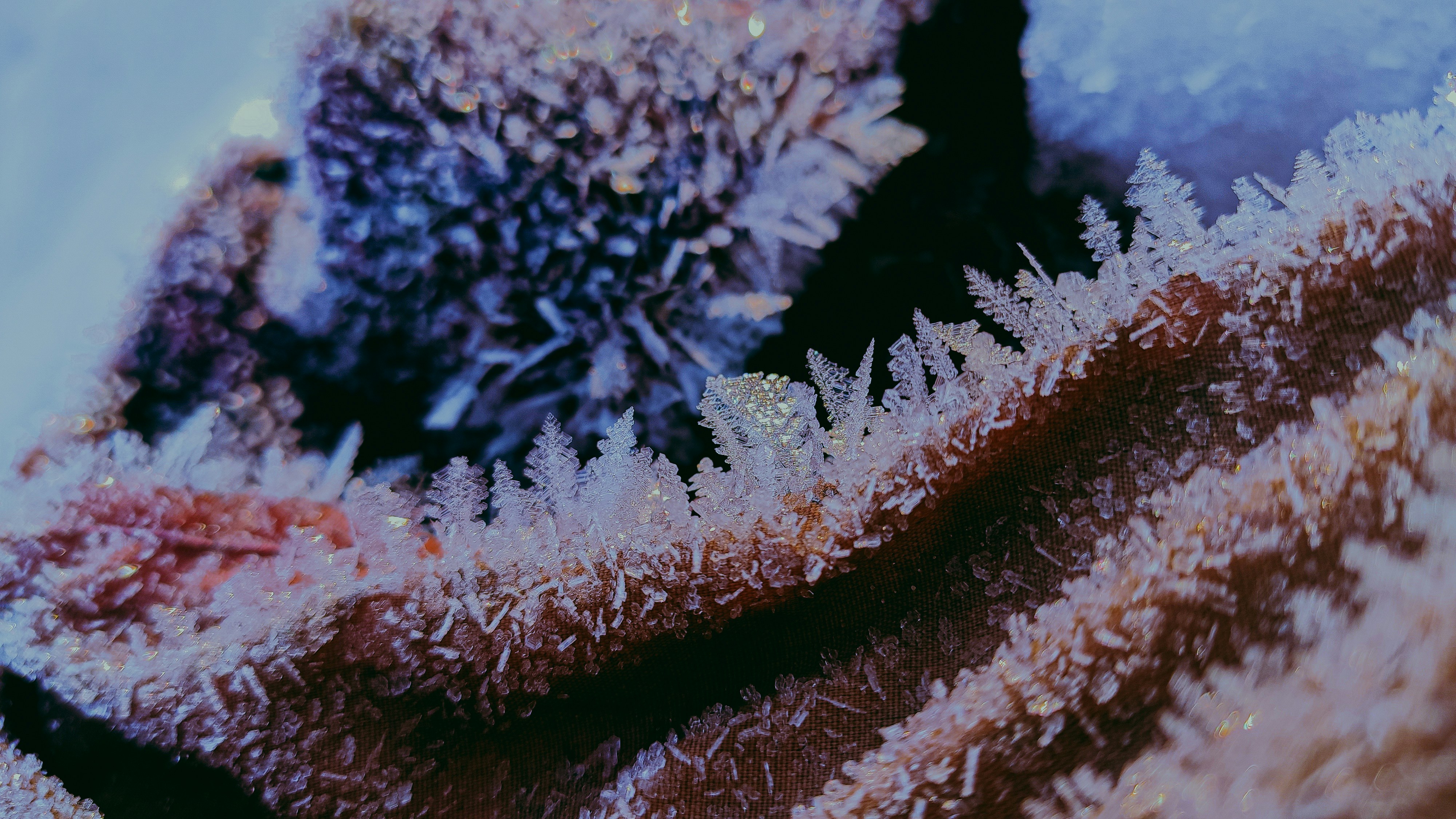 Frosted Textures: Nature's Icy Artistry