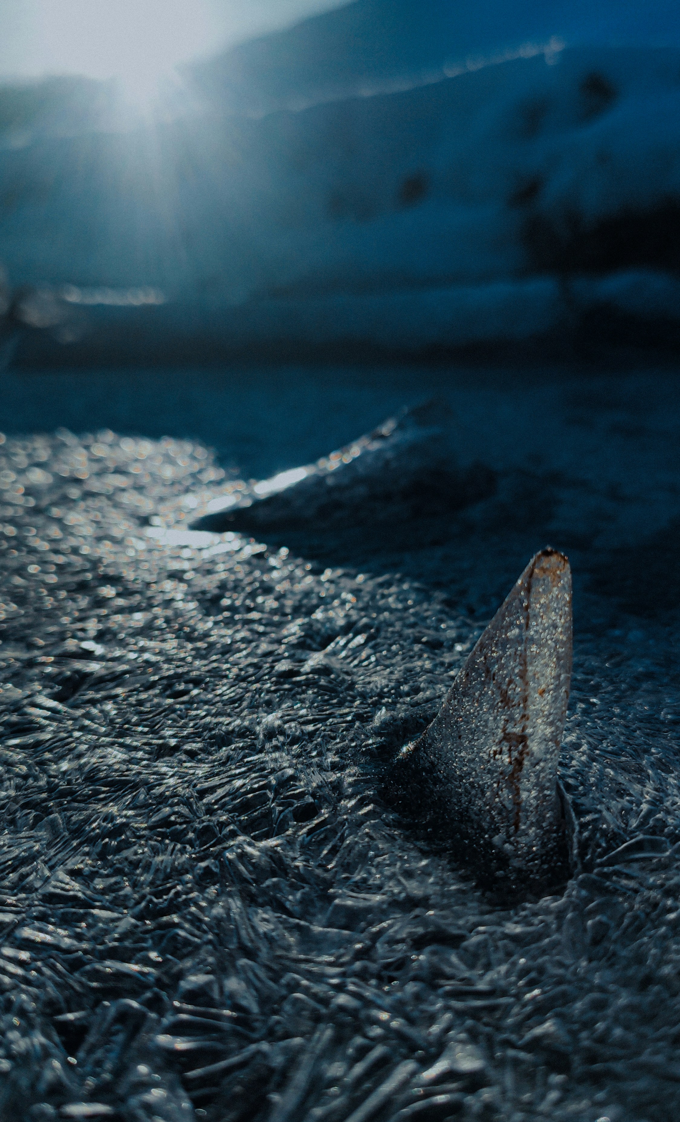 Icy Needle at Blue Hour