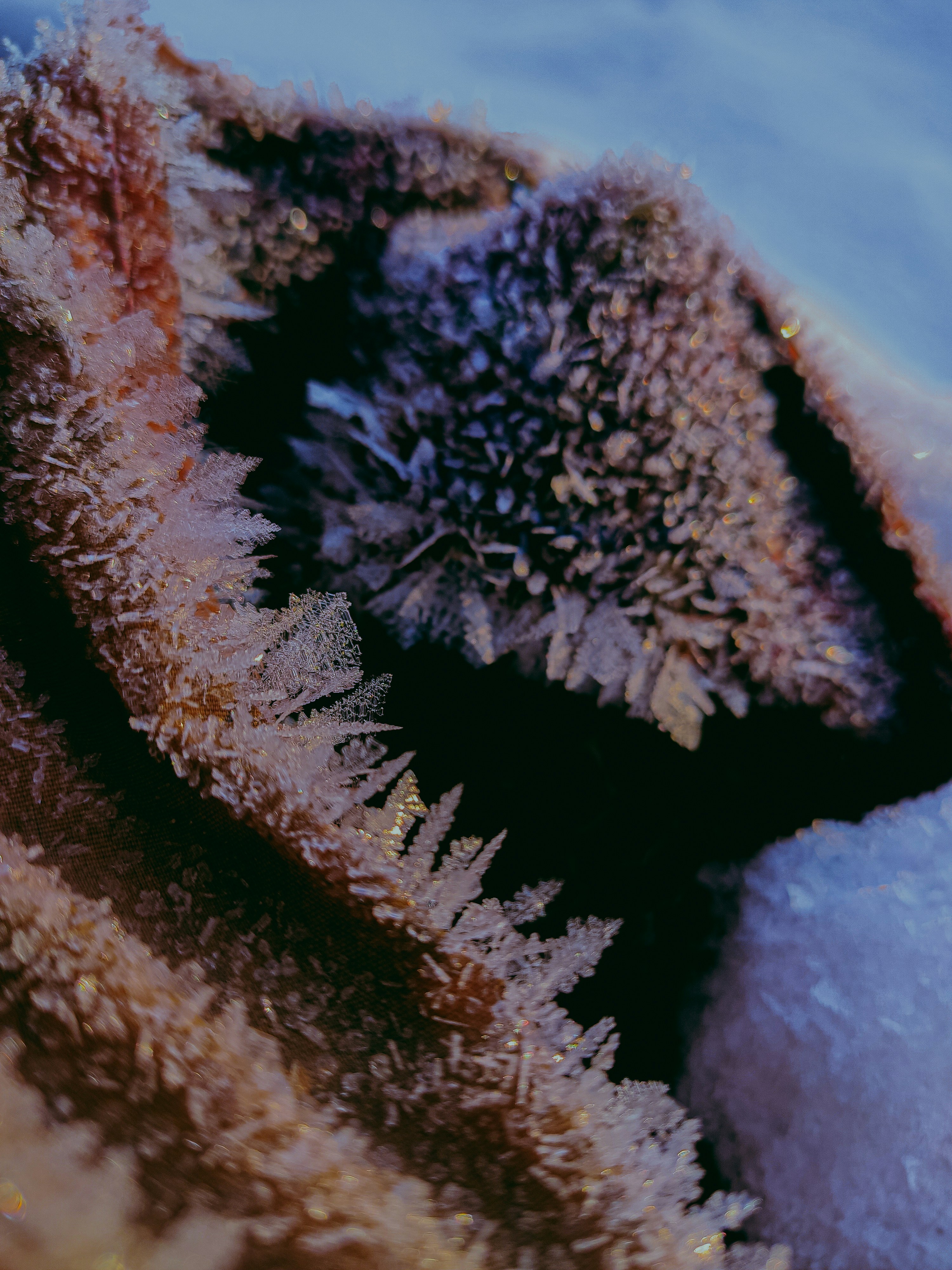 Ice Lace: Frost Fringes Crown a Hollow Stem Under Winter Sky