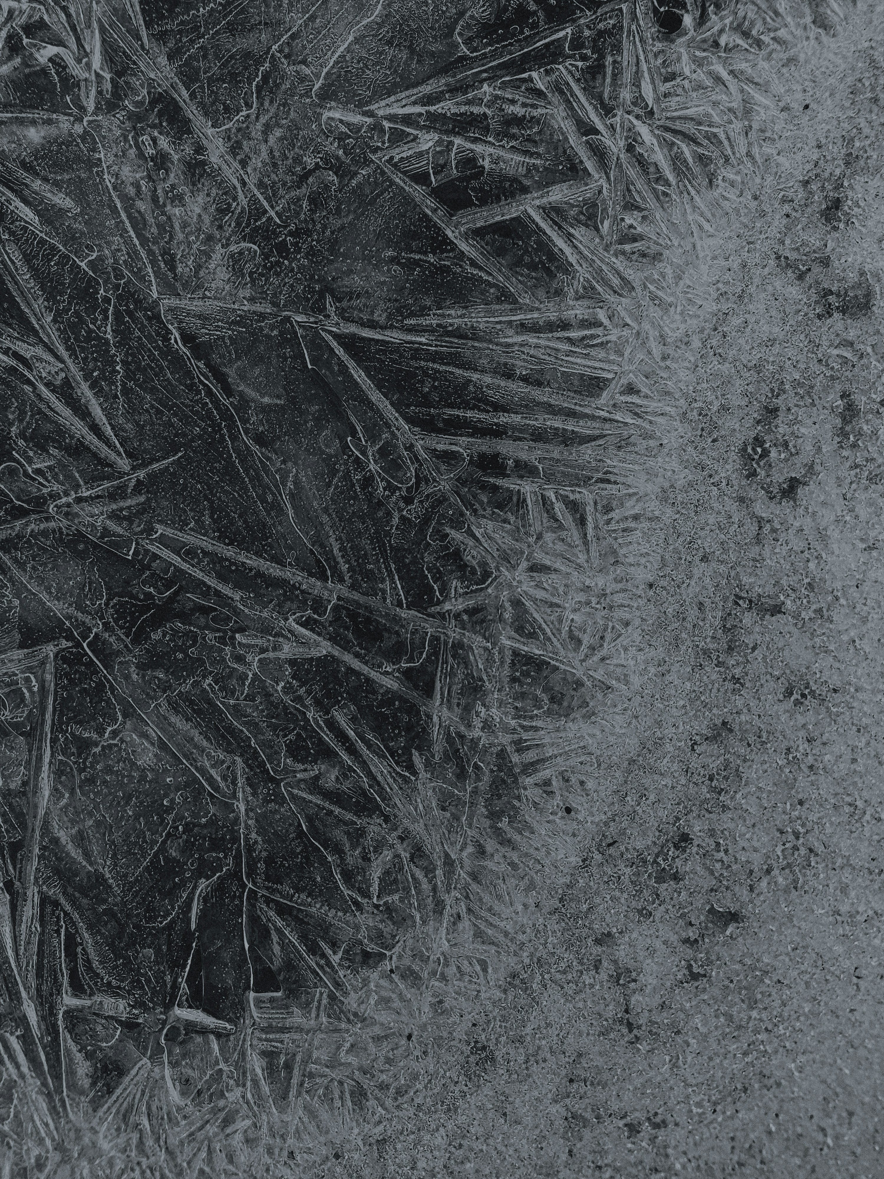 Fractured Foliage: Frost Crystals in a Silent Rim