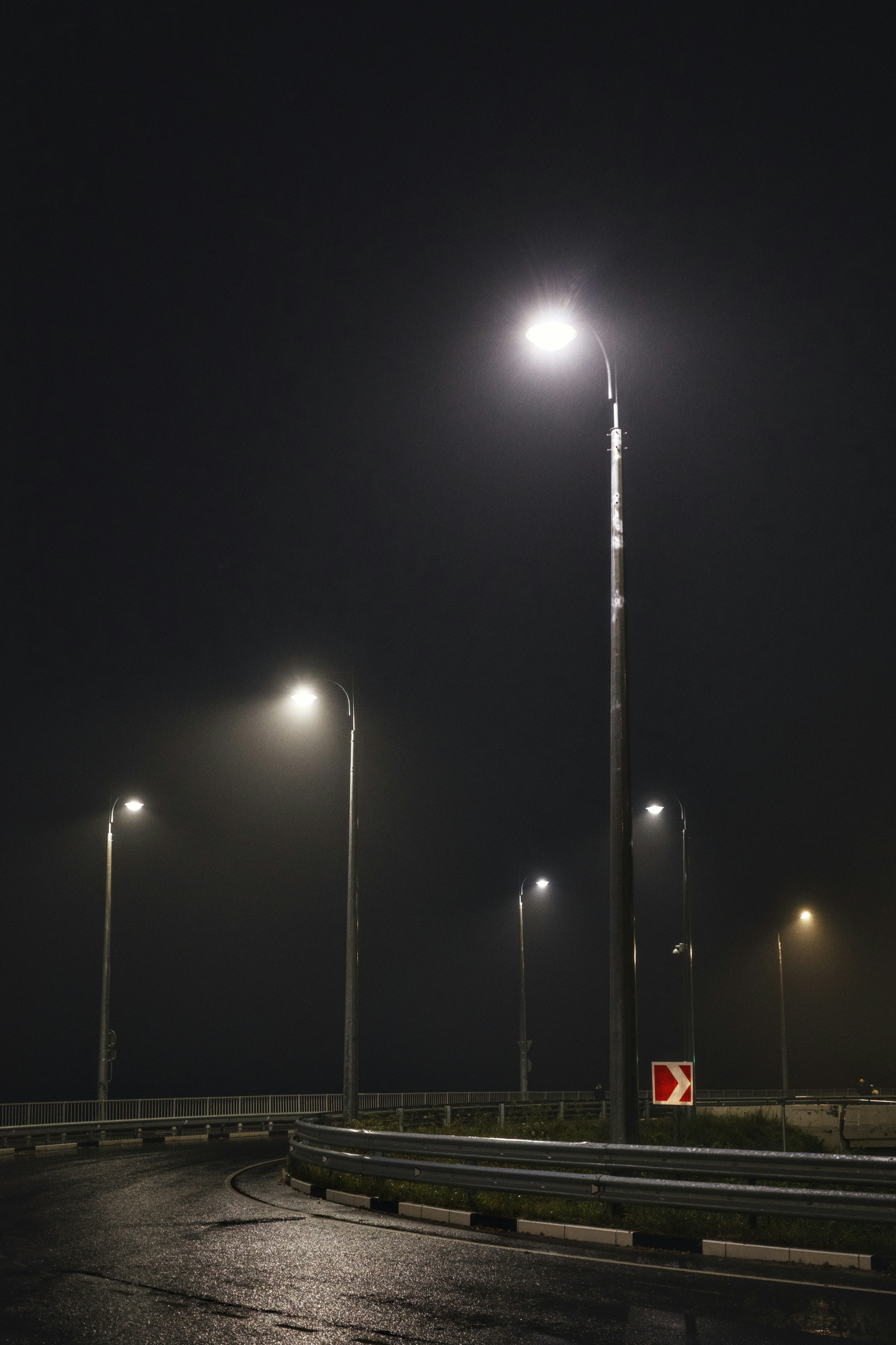 Illuminated Pathways: A Nocturnal Journey