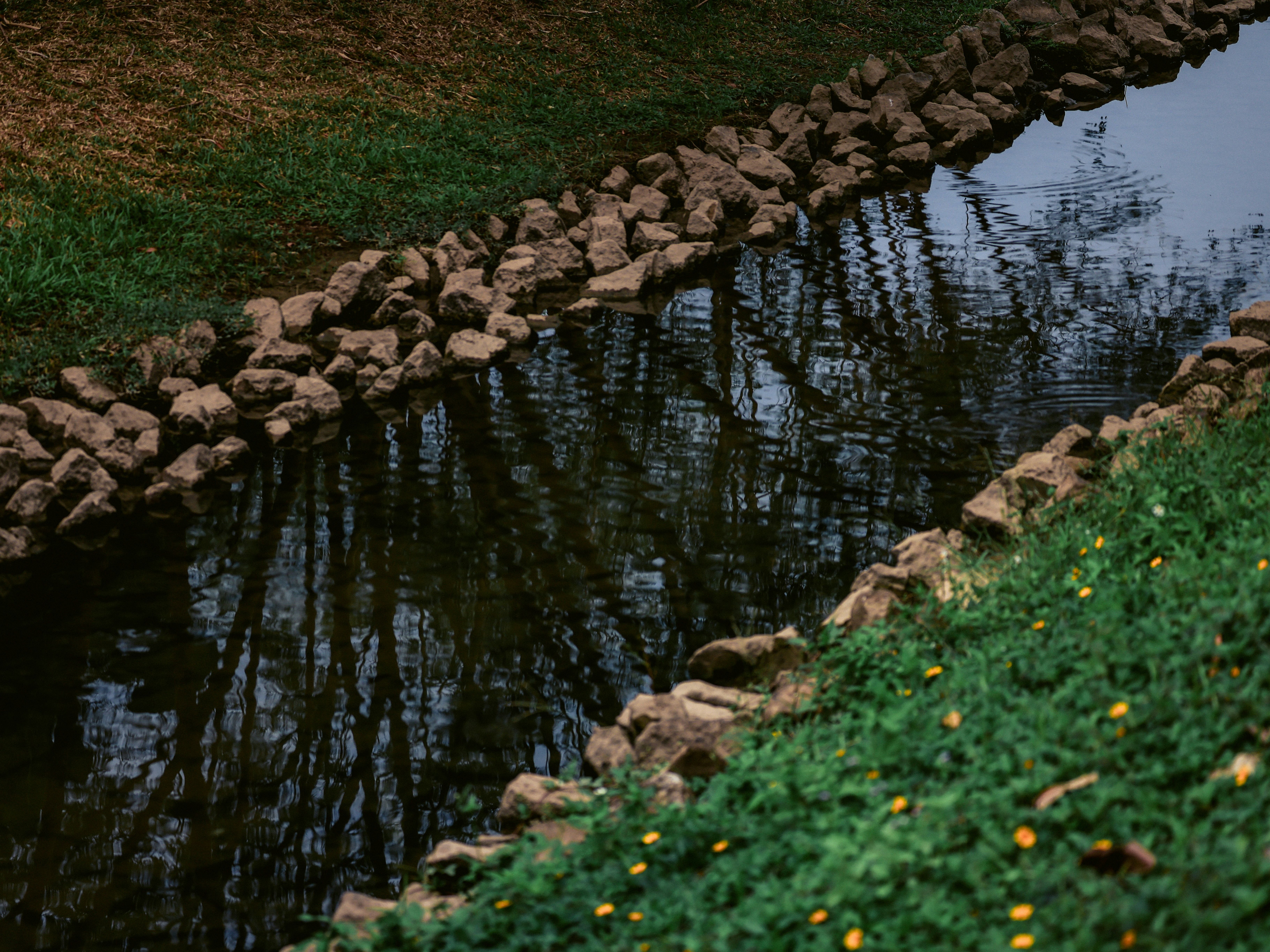 A tranquil stream bordered by stones reflects the surrounding trees, showcasing the beauty of nature's stillness.