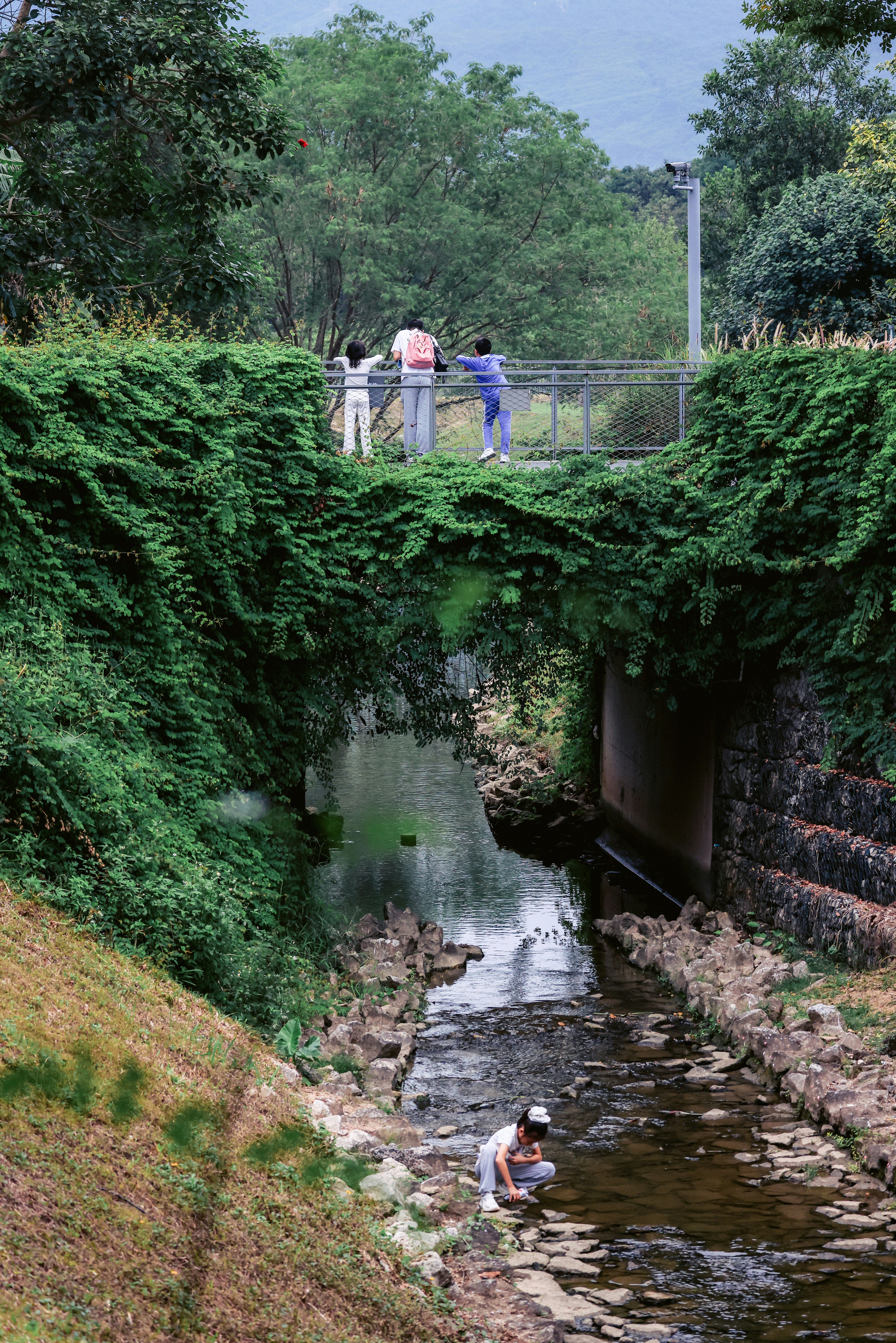 Three individuals observe a stream from a bridge while another person interacts with the water below. Lush greenery envelops the scene.