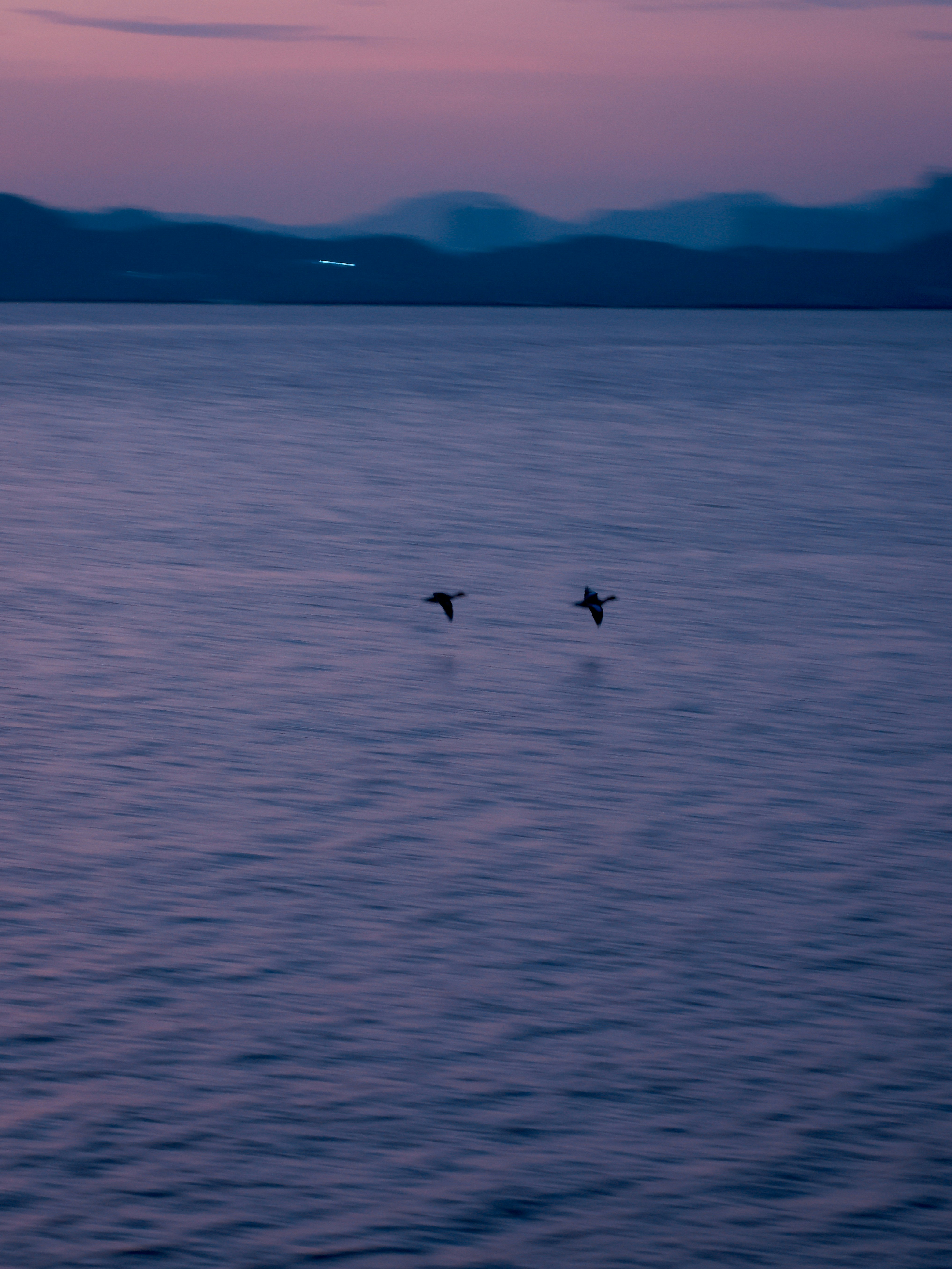 Photo by DL314 Lin with Canon EOS R5