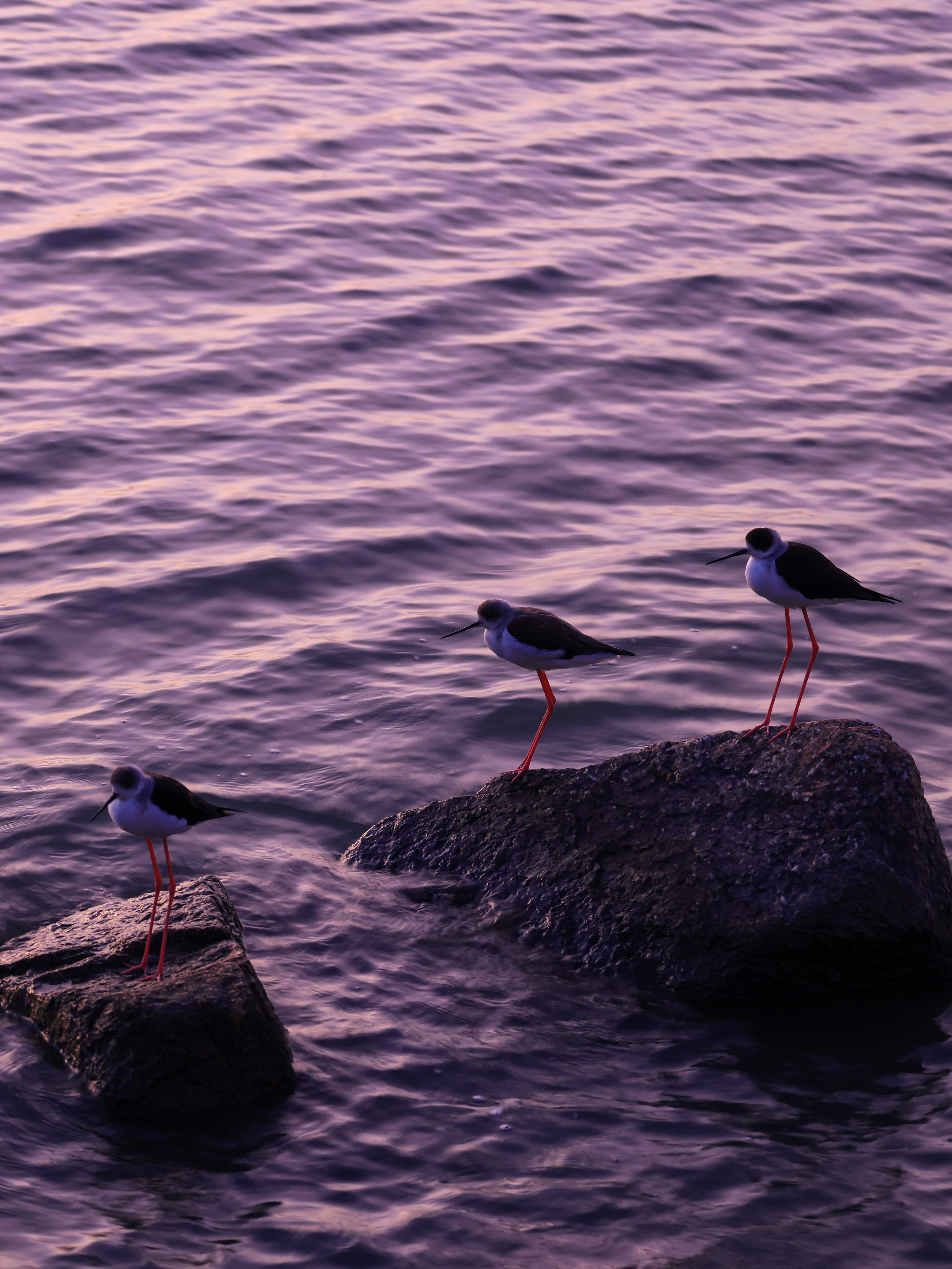 Photo by DL314 Lin with Canon EOS R5