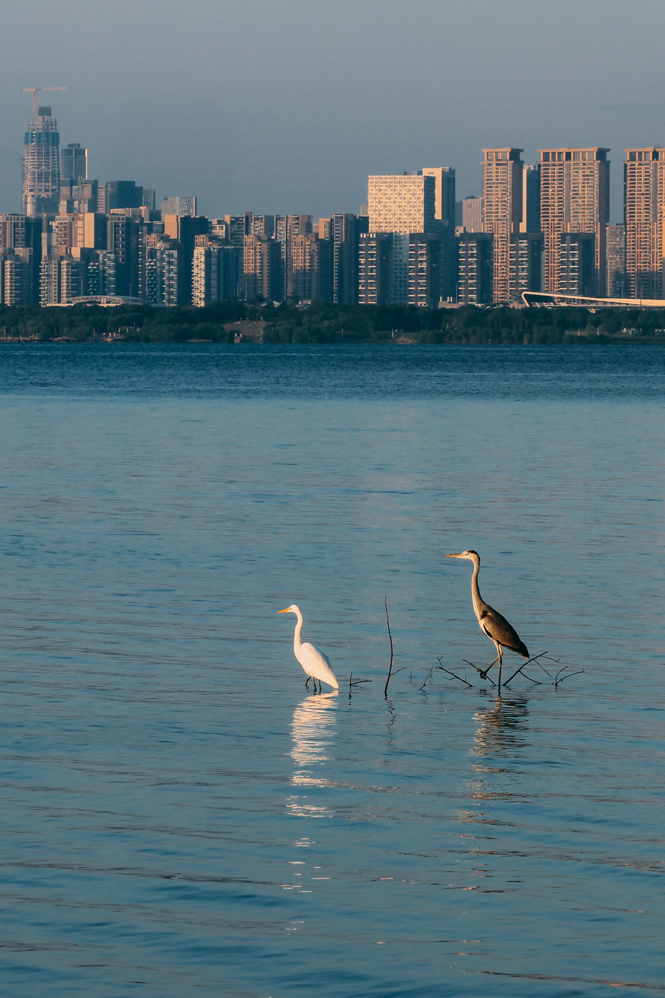 Photo by DL314 Lin with Canon EOS R5