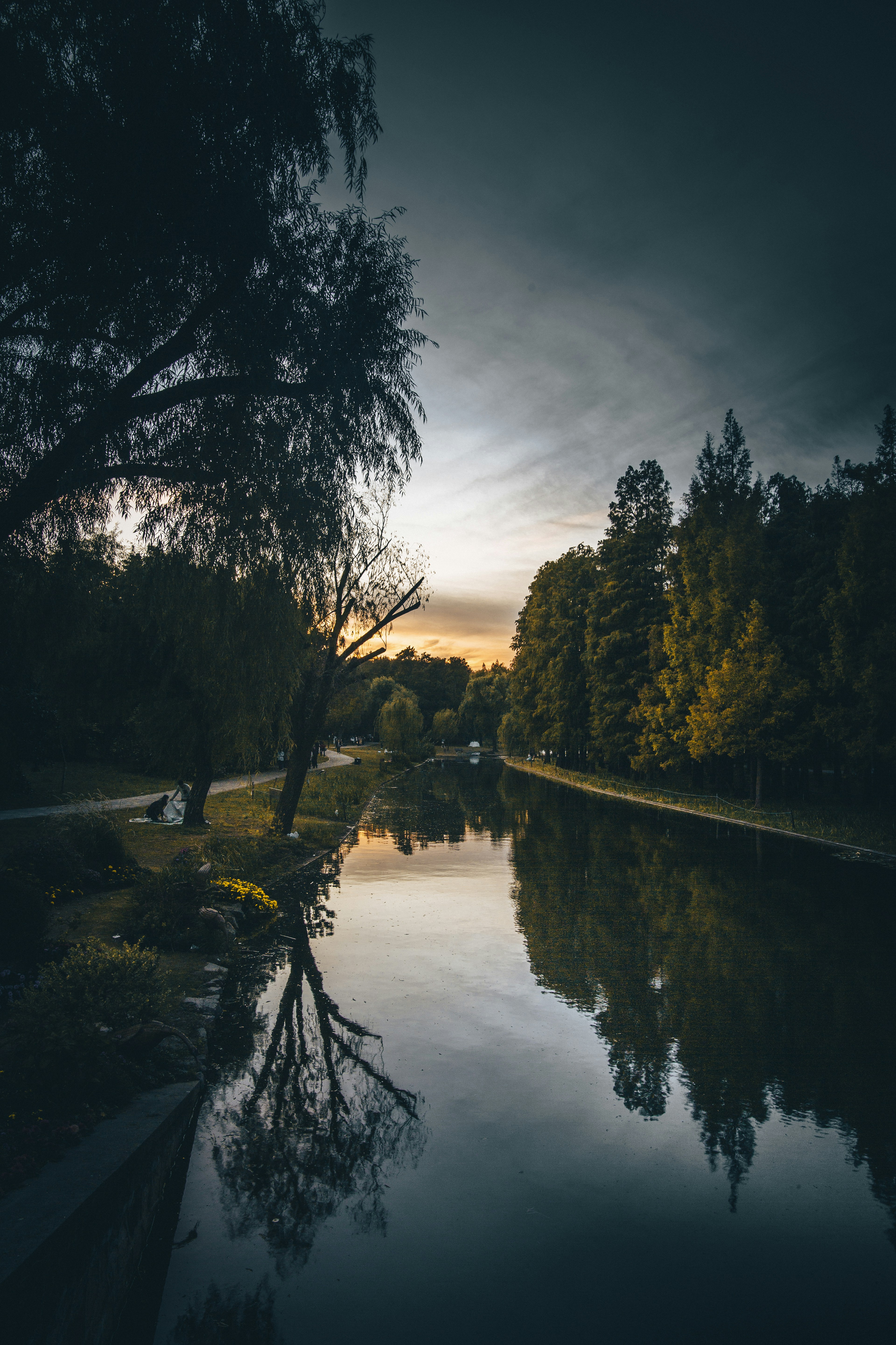 Serene river scene at twilight, with trees lining the banks and their reflections mirrored in the calm water. A peaceful atmosphere envelops the landscape.