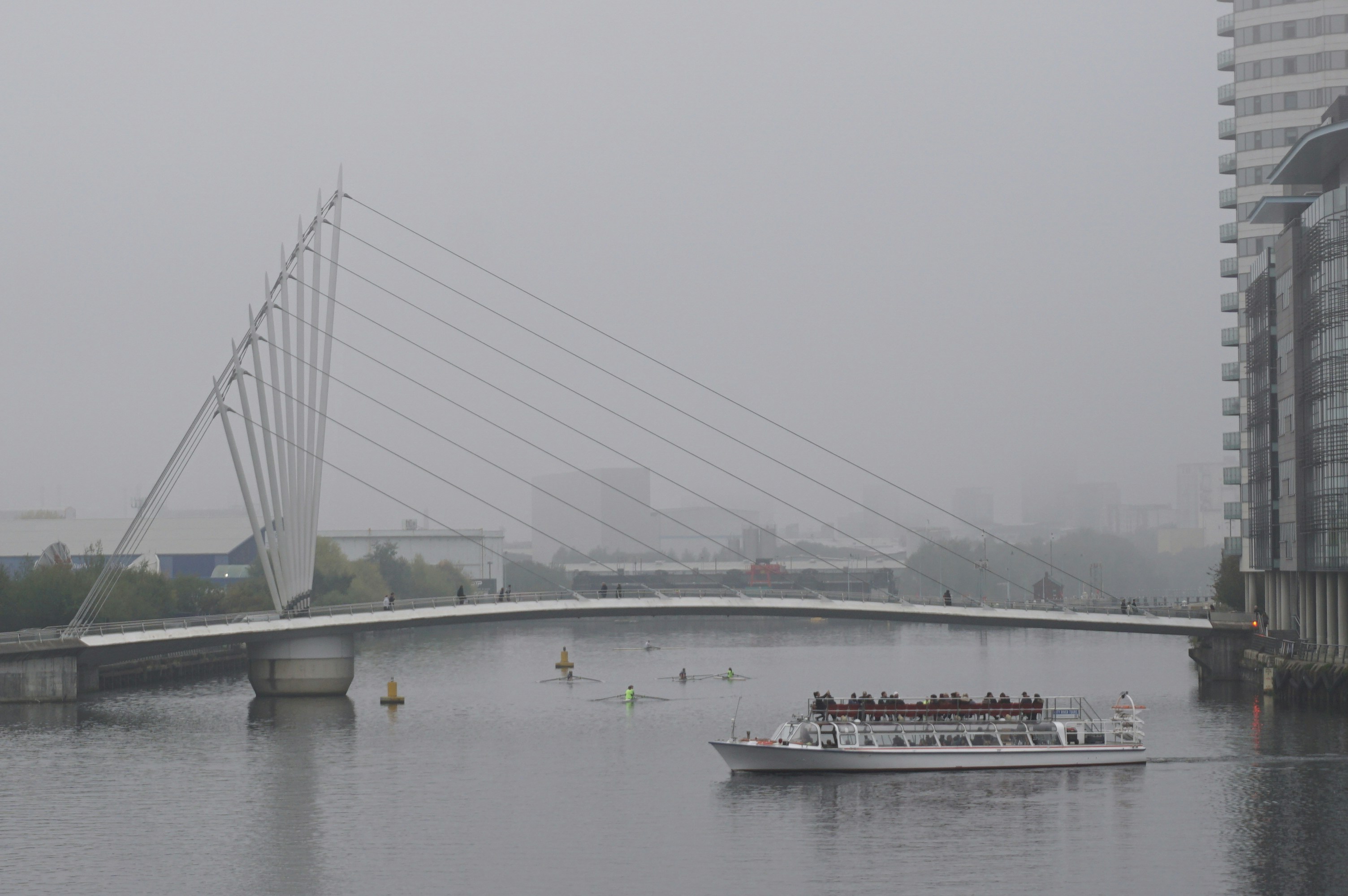 Fog-Washed Skyline: A Tour Boat Under a Cable-Stayed Bridge