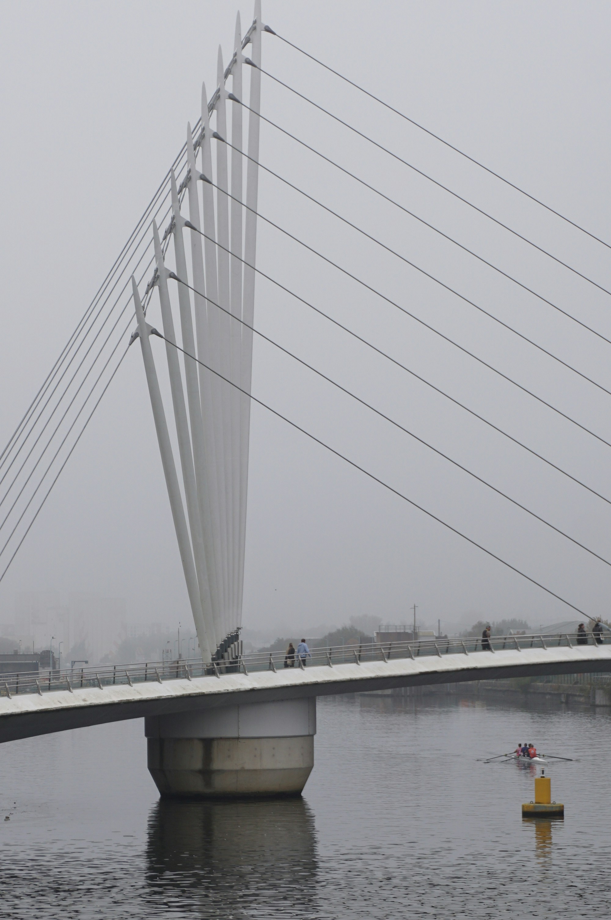 Spine of Cables in a Fogbound River Crossing