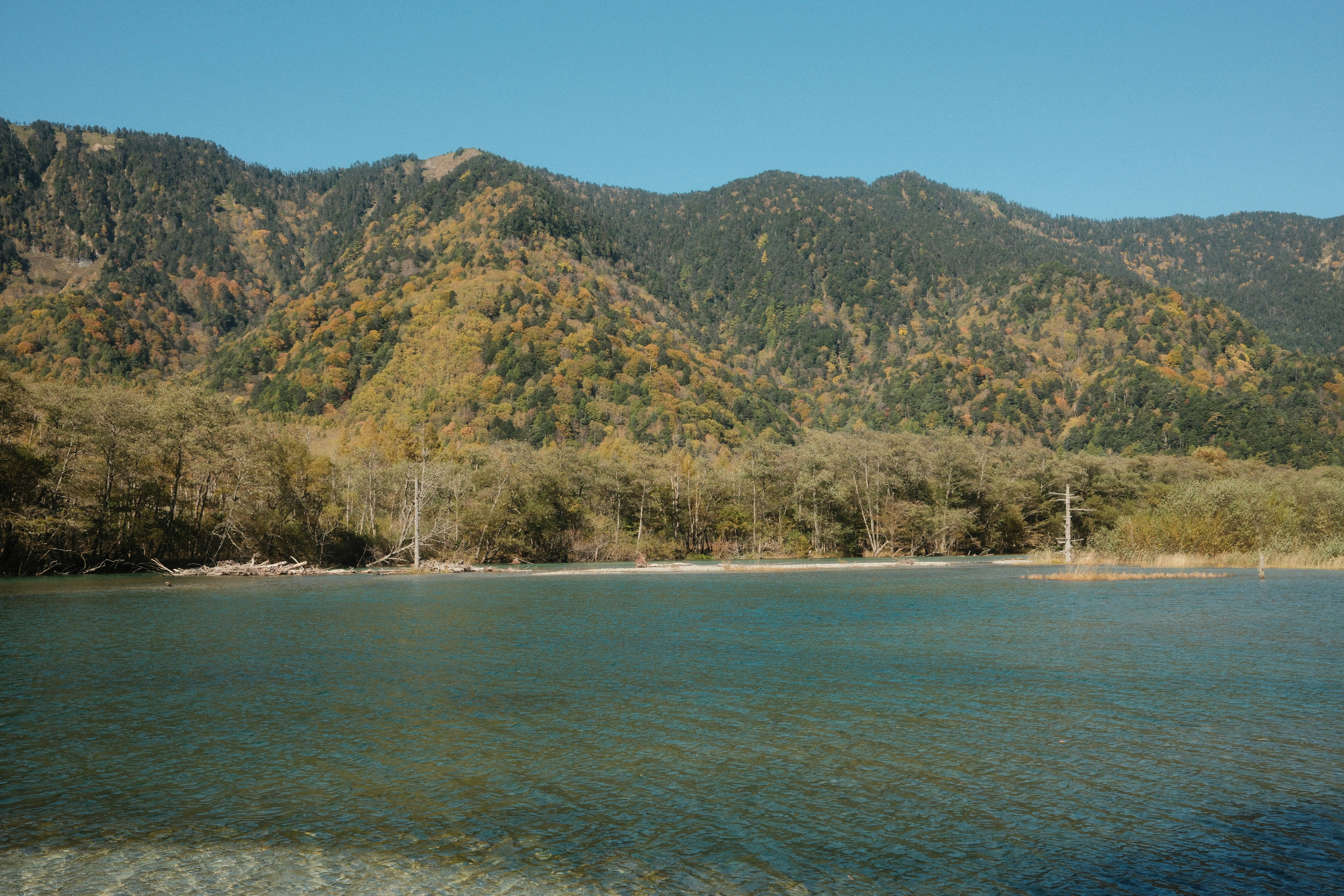 Autumn's Reflection on Tranquil Waters