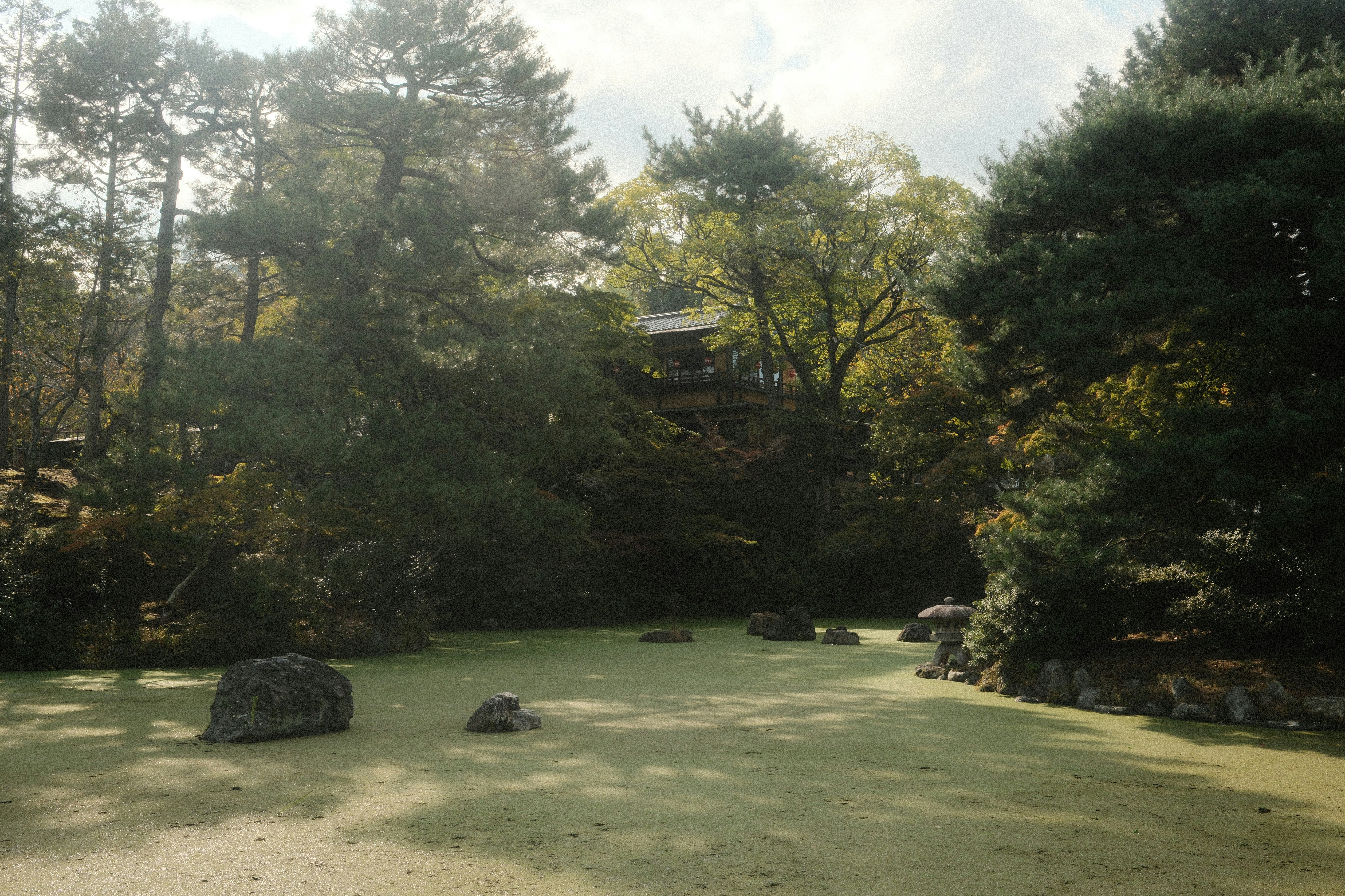 Sunlit Secluded Pavilion: Moss, Pines, and Rocks