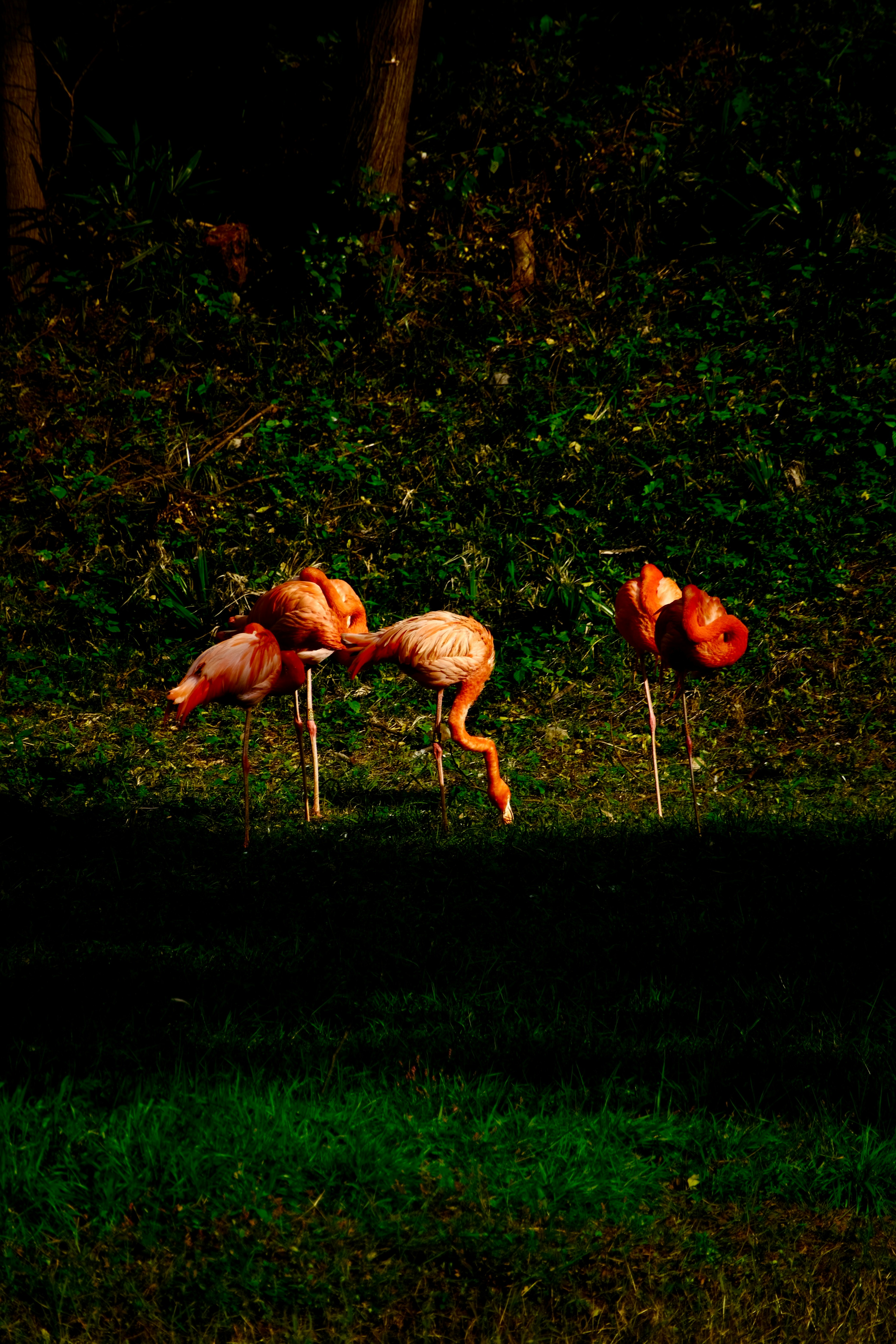 Photo by Alex He with Fujifilm X-T30 II