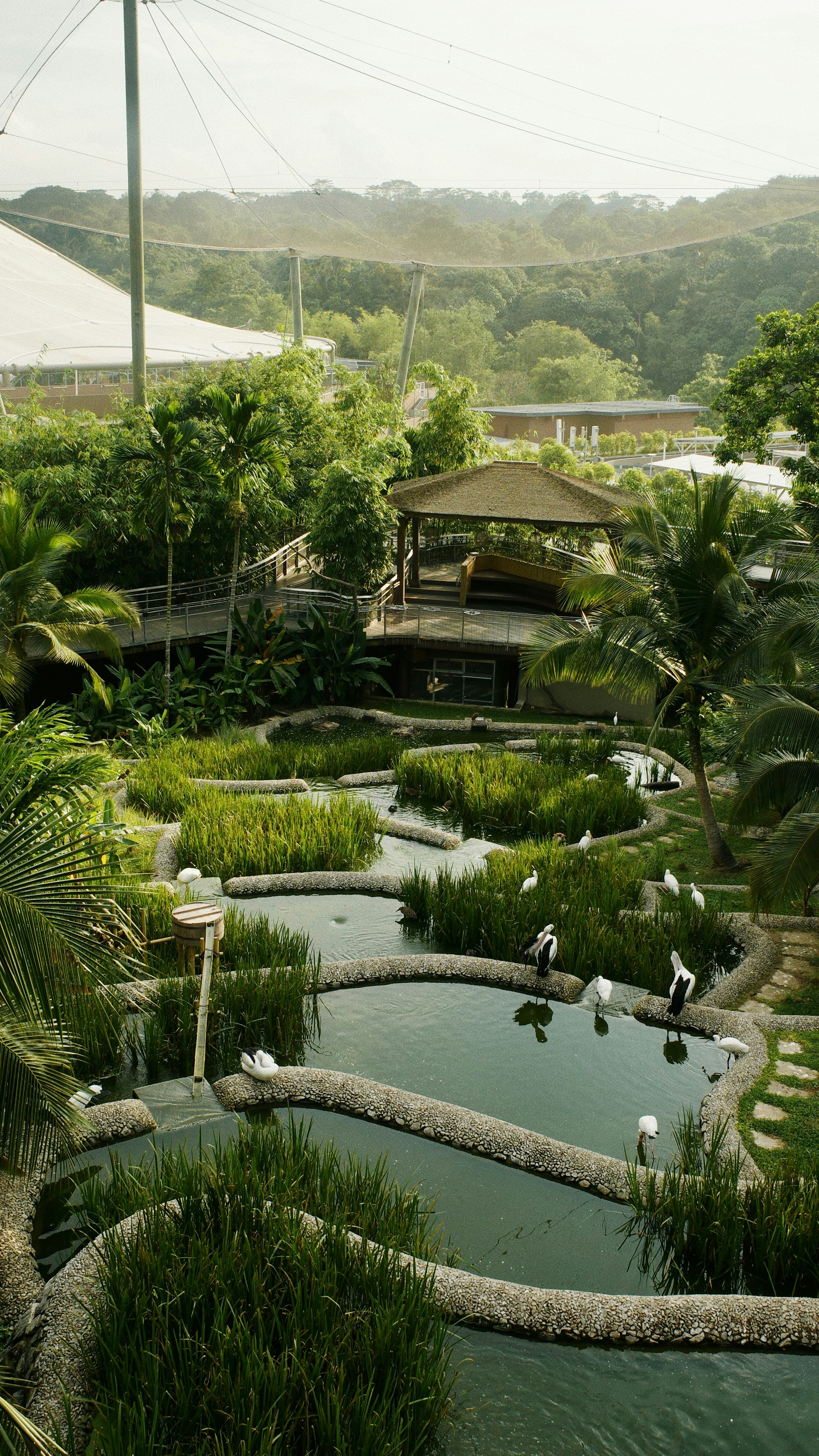 Serene Oasis: Nature's Harmony in Urban Design