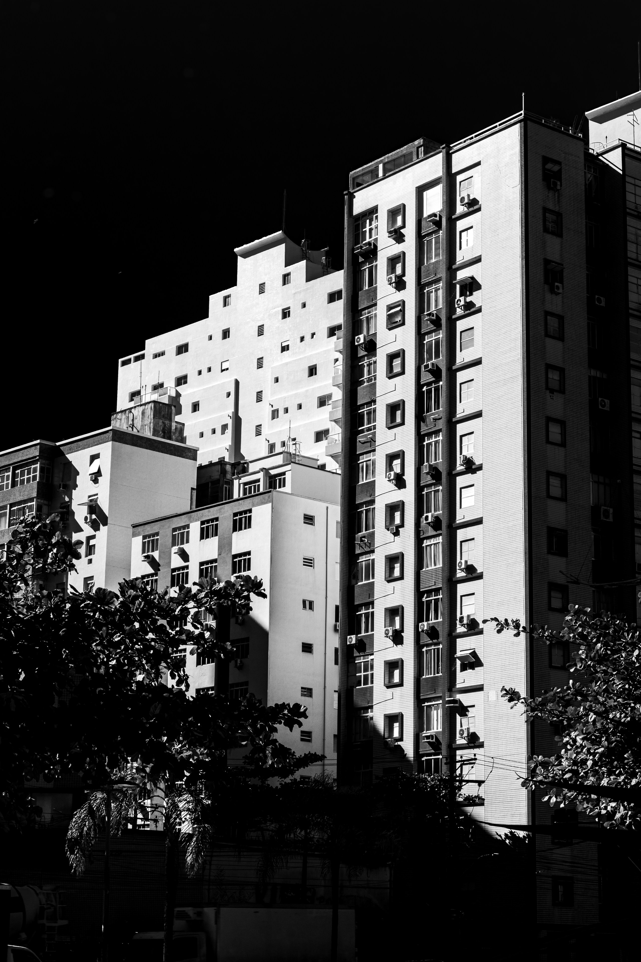 Monochrome depiction of towering buildings contrasted by foliage, showcasing architectural lines and shadow play.