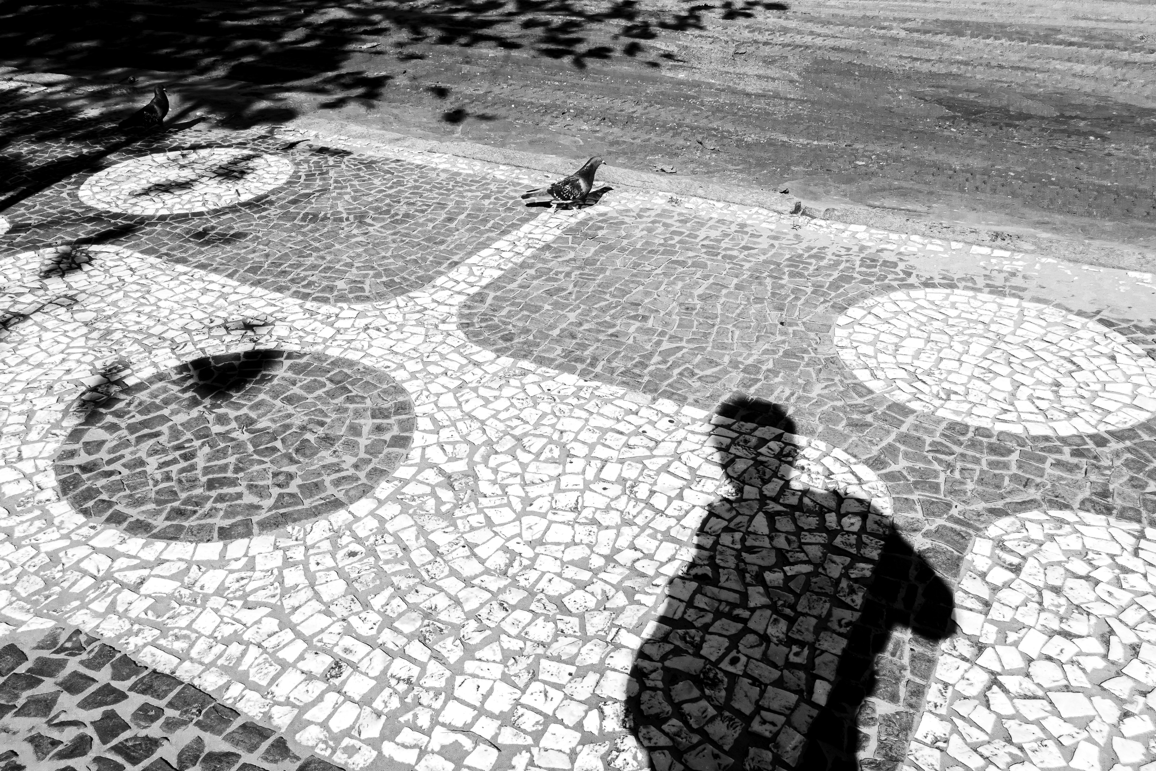 Shadow Play on Mosaic Pathways