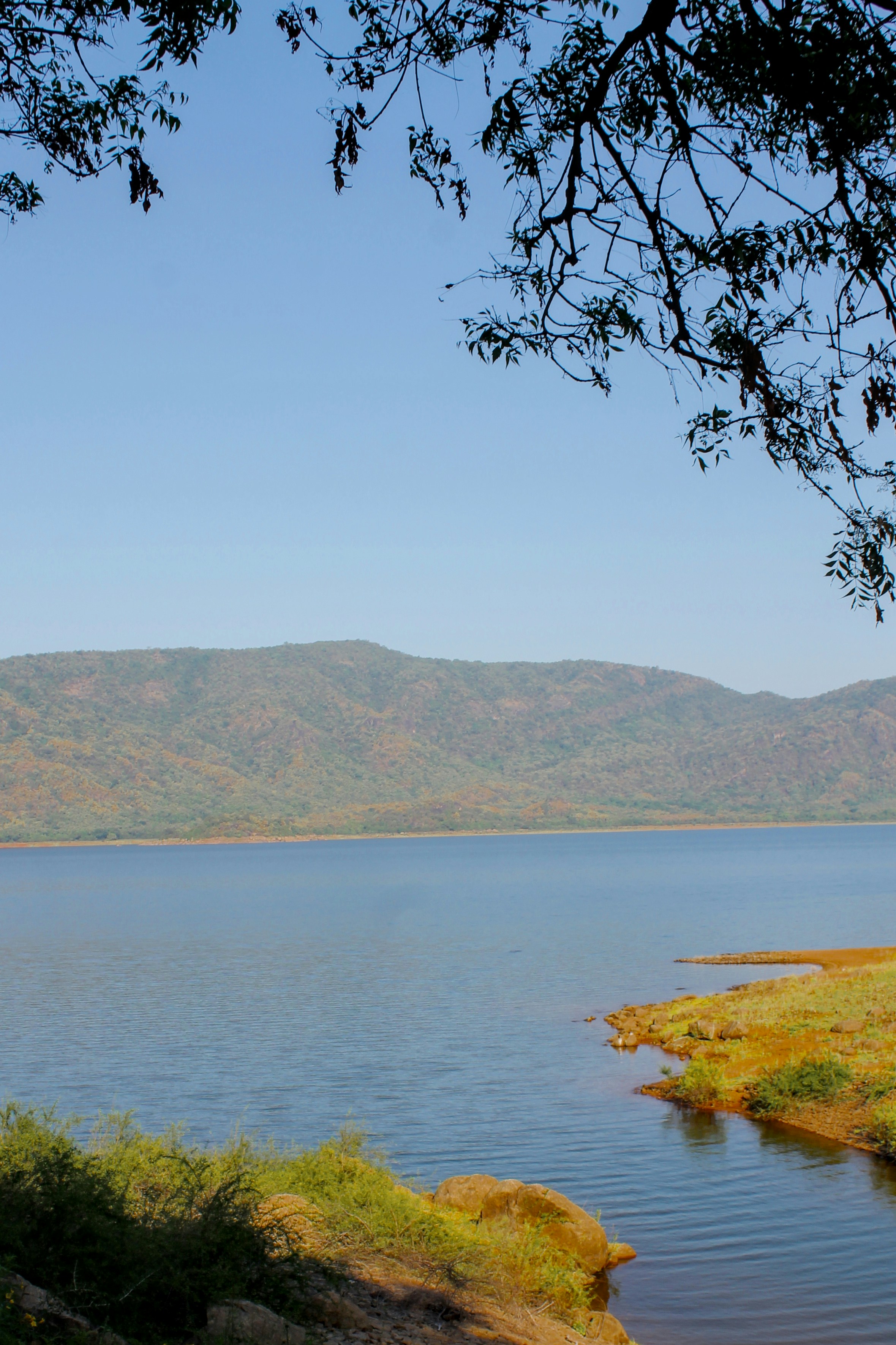 Tranquil lakeside view framed by overhanging branches, showcasing distant hills under a clear blue sky.