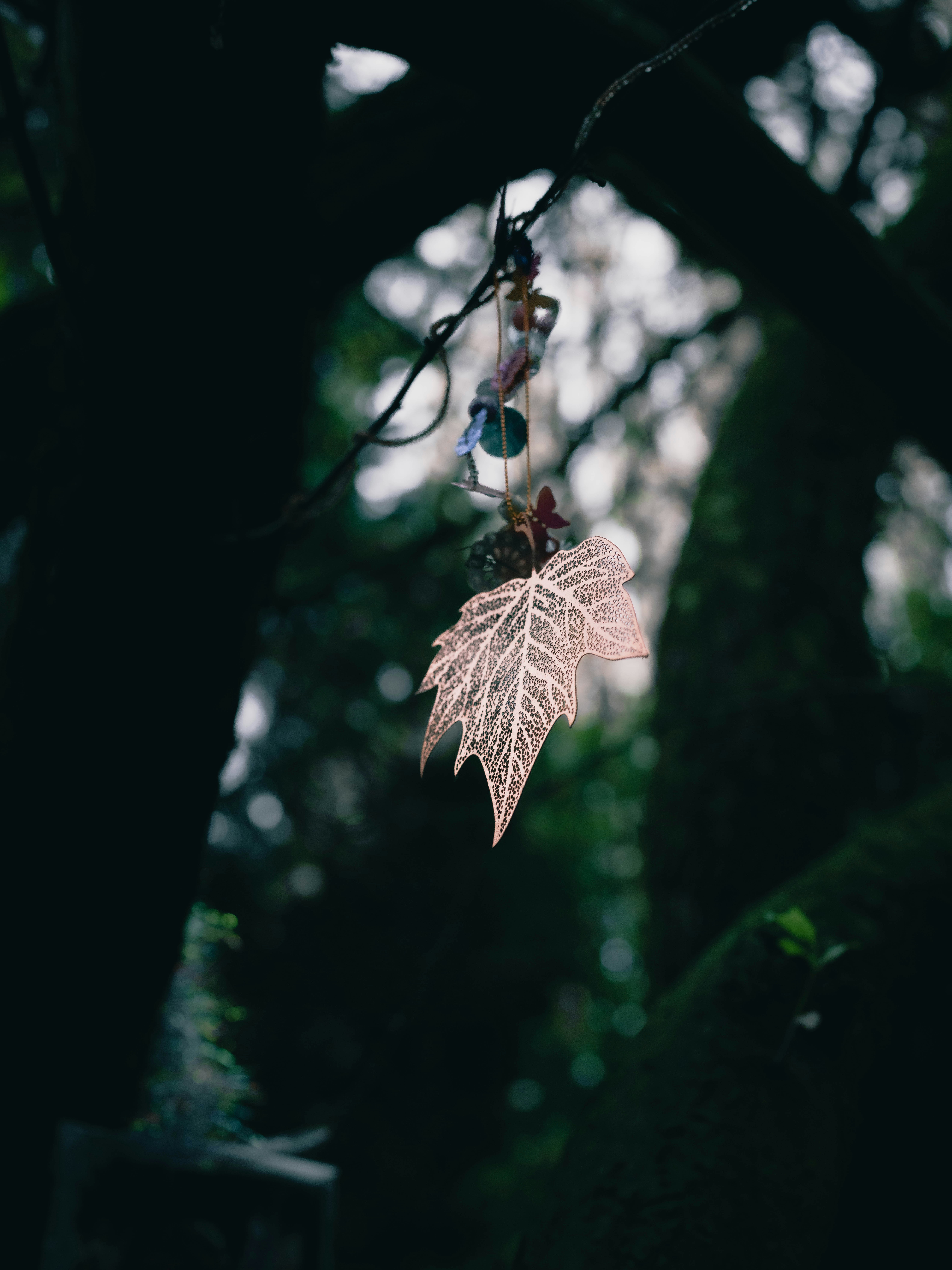 Whispers of Nature: A Leaf's Luminescent Tale