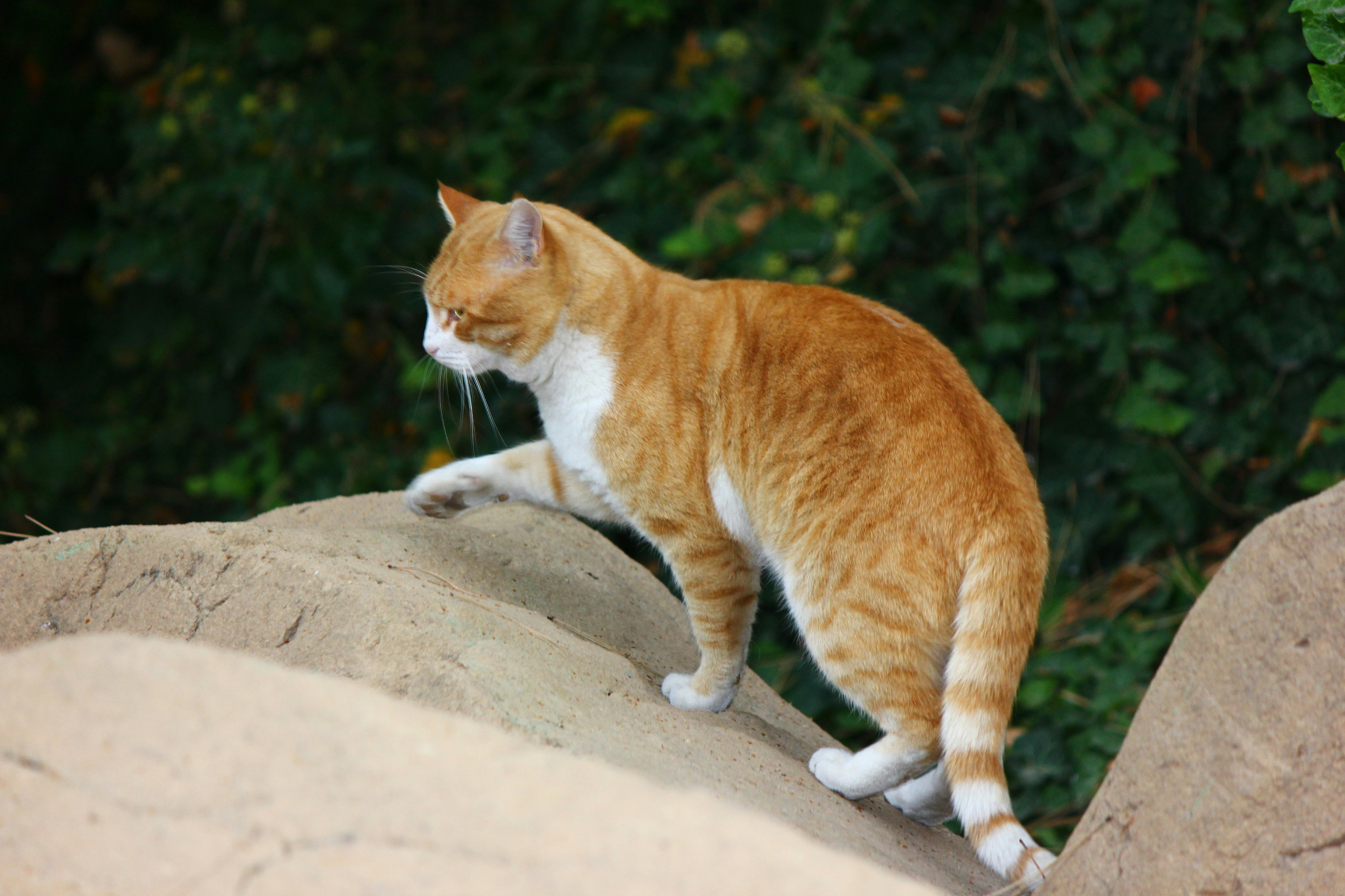 Photo by Cengiz Özarpat with Canon EOS 600D