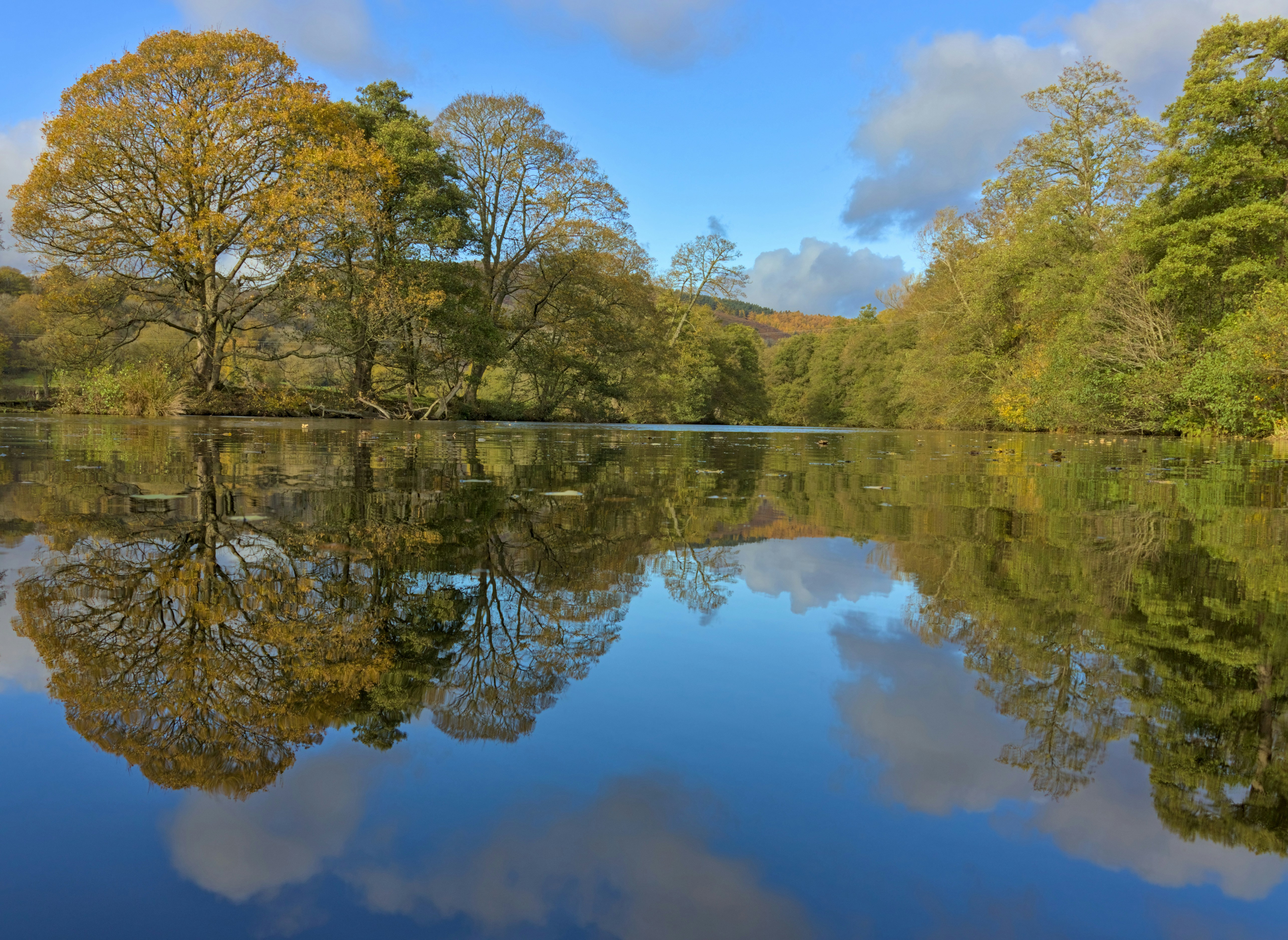 Los árboles se reflejan en un lago tranquilo bajo un cielo azul. foto ...