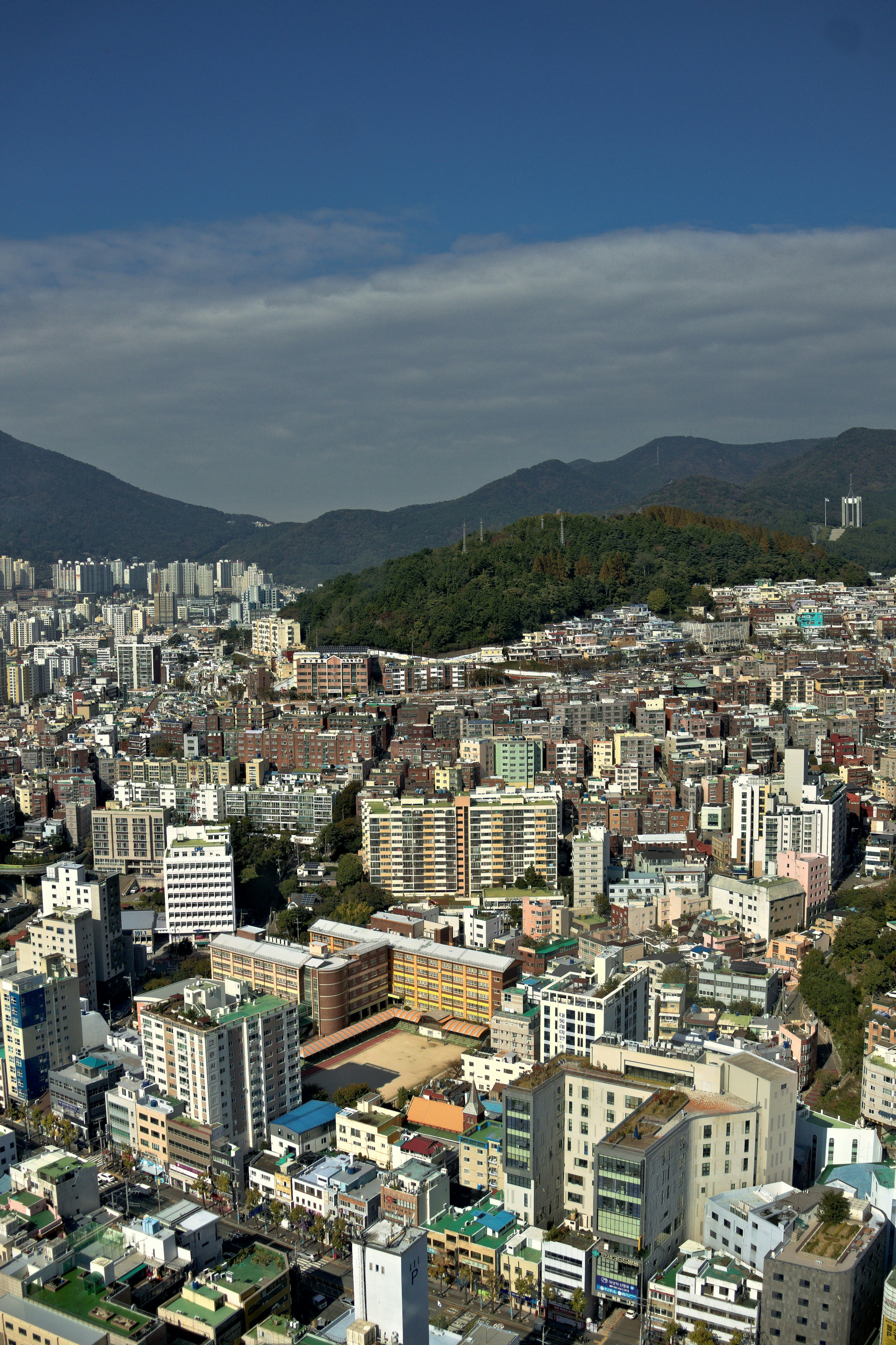 A panoramic view of a bustling cityscape interspersed with greenery, showcasing a harmonious blend of urban architecture and natural landscapes.