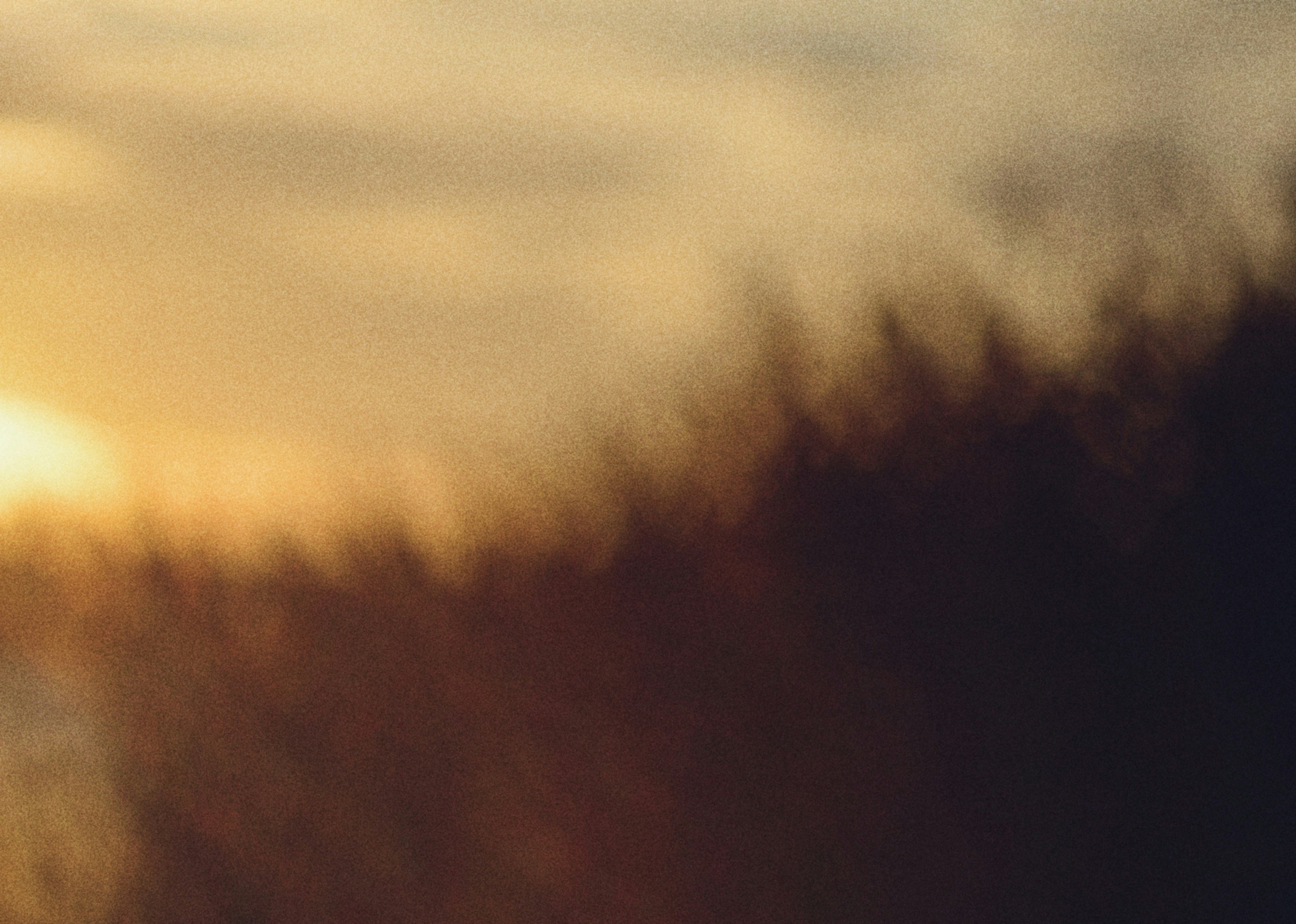 Abstract depiction of blurred foliage against a warm, golden sunset sky. The soft focus invites a sense of tranquility.