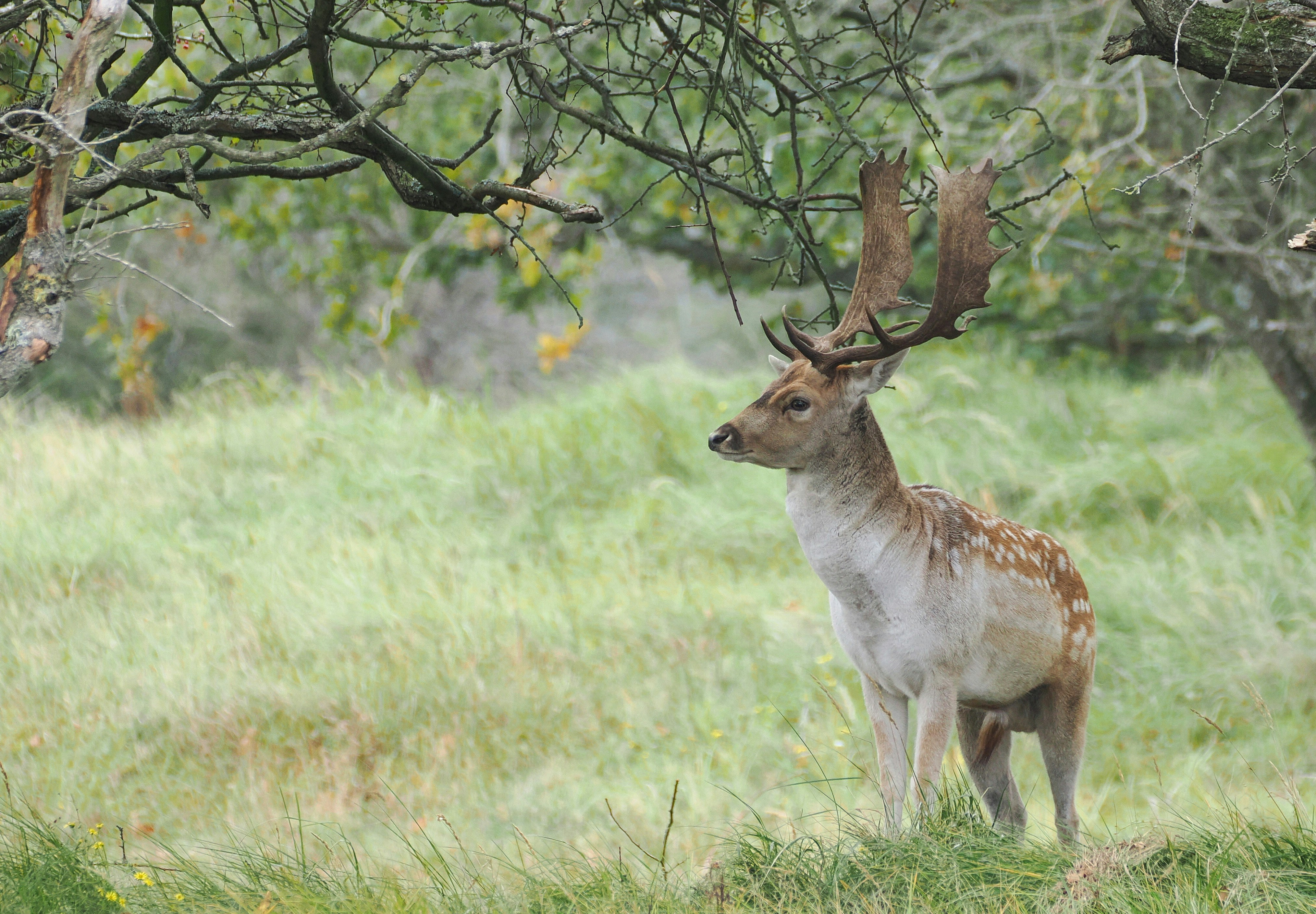 Photo by Gerrit Stam with OM System OM-1
