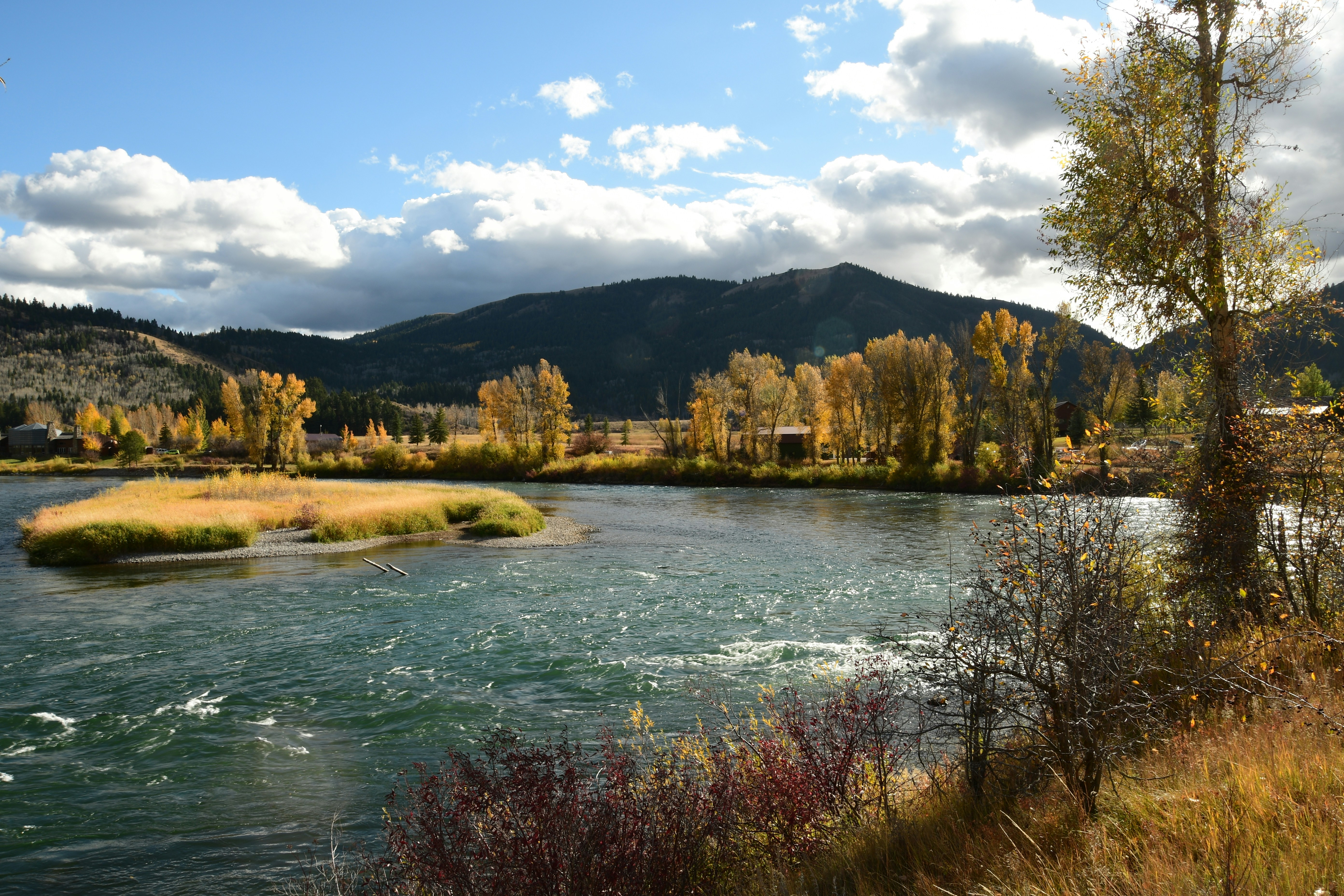Whispers of Autumn by the Riverbank