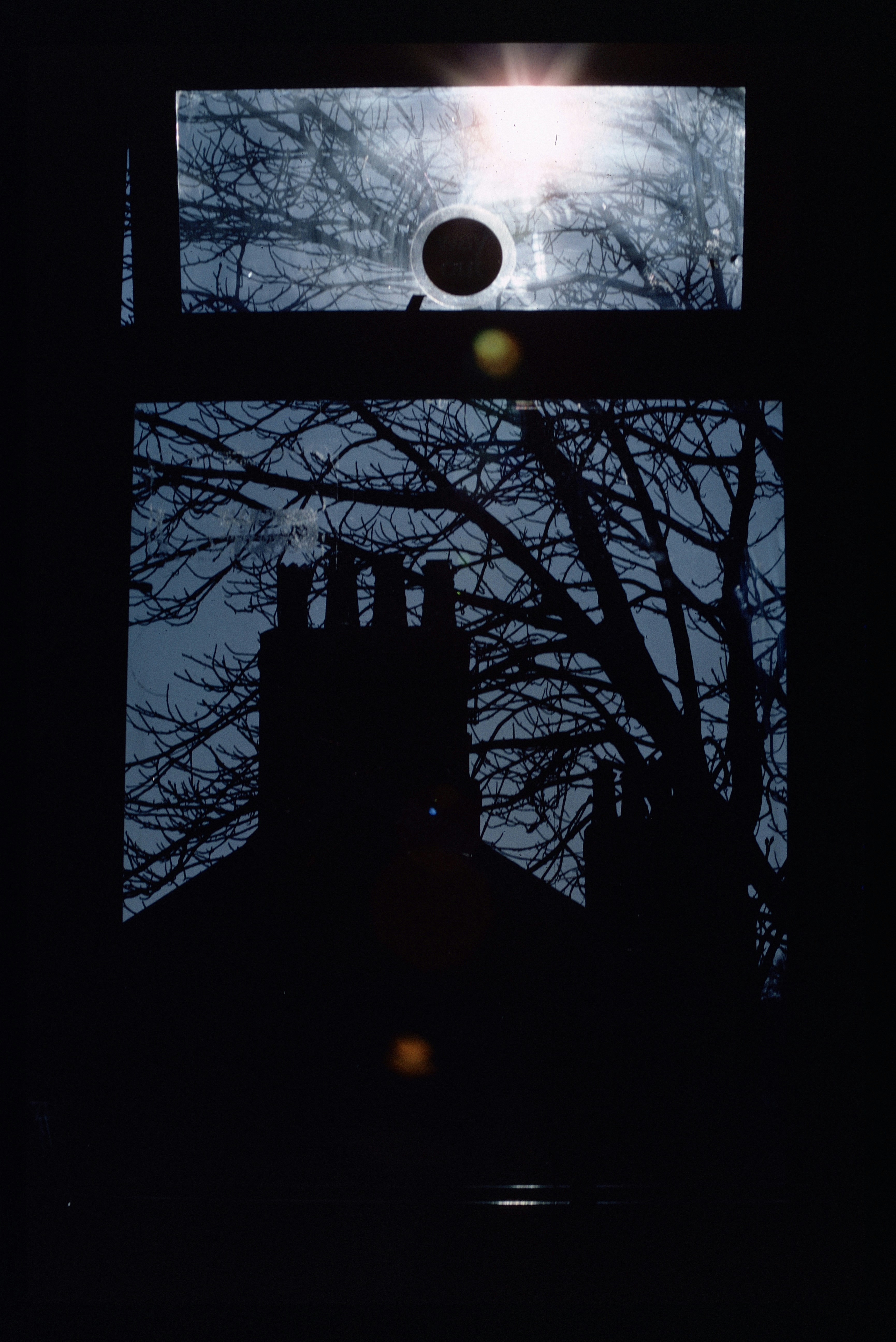 Silhouettes of Solitude: A Window to the World