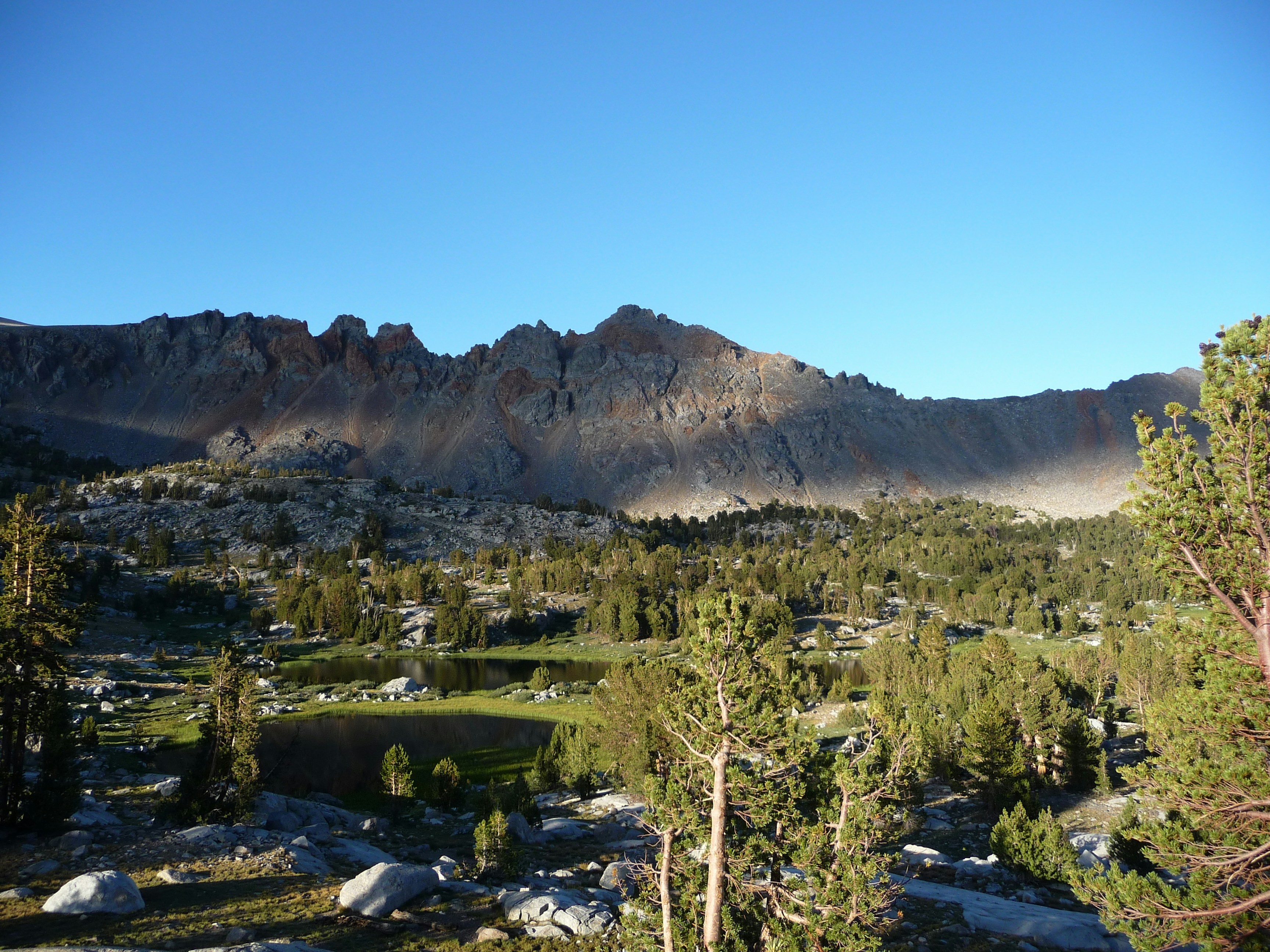 Photo by Diggity Dog with Panasonic Lumix TZ5