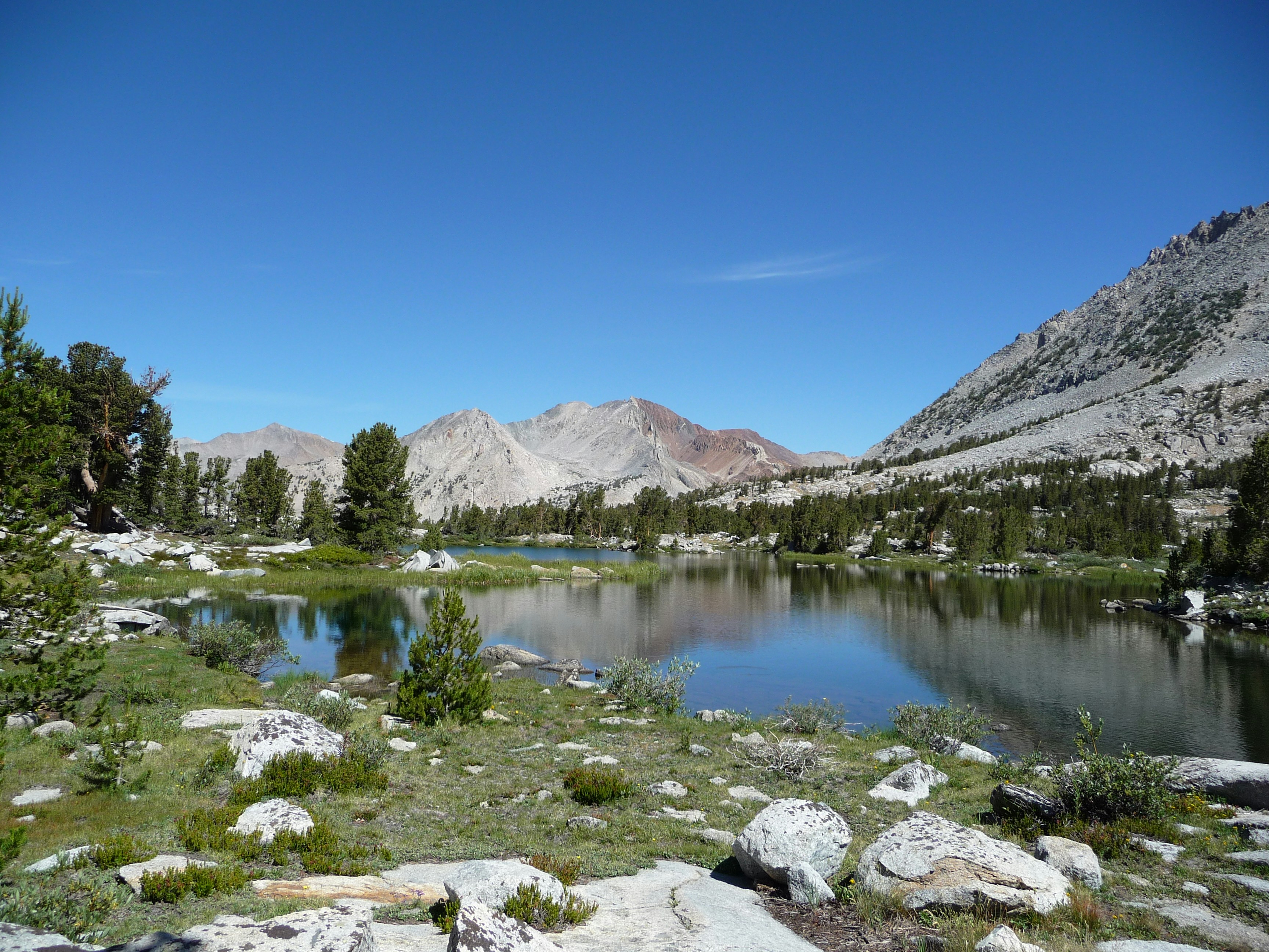 Photo by Diggity Dog with Panasonic Lumix TZ5