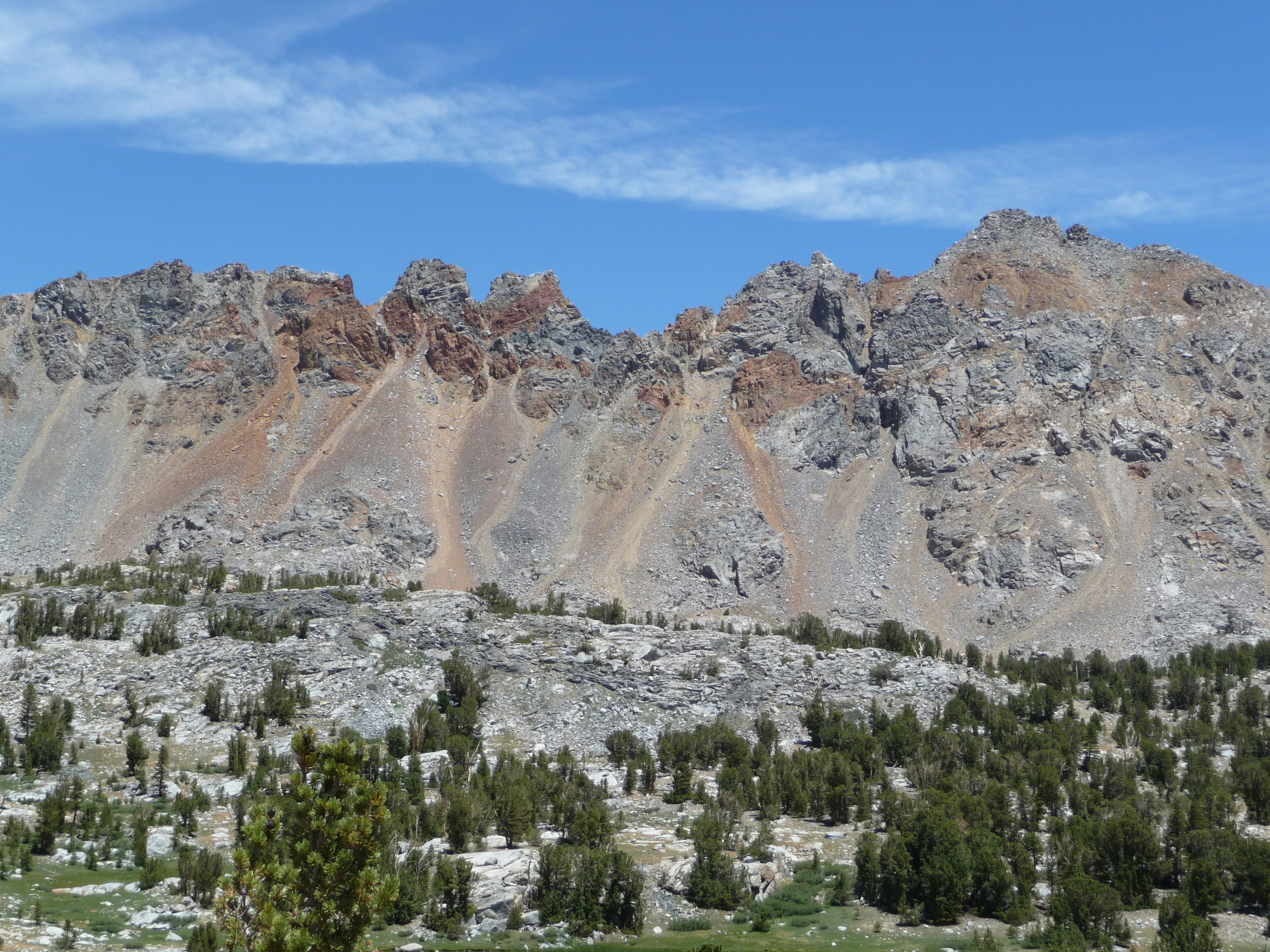 Photo by Diggity Dog with Panasonic Lumix TZ5