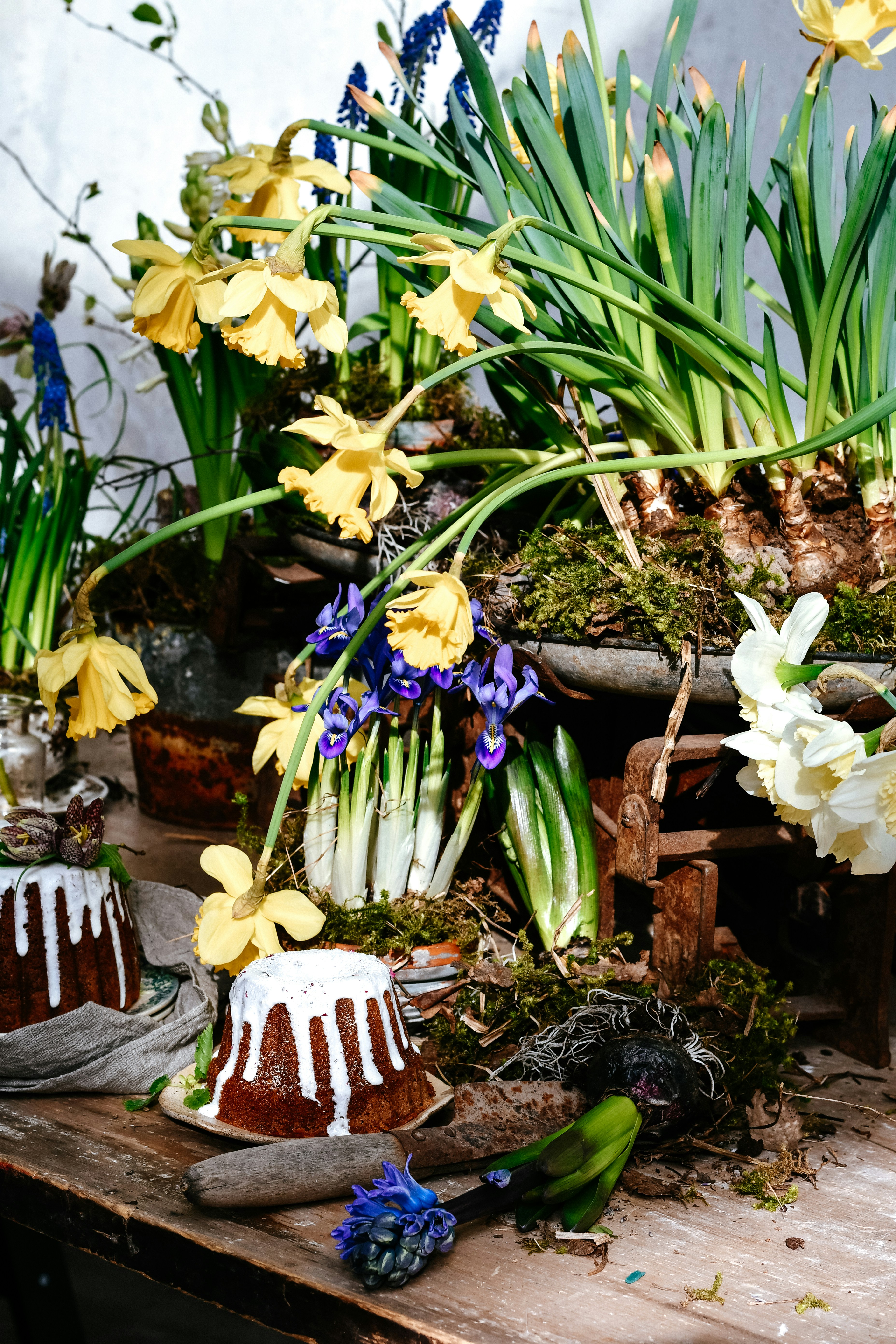 Easter cakes and spring flowers on a rustic table photo – Free Flowers ...
